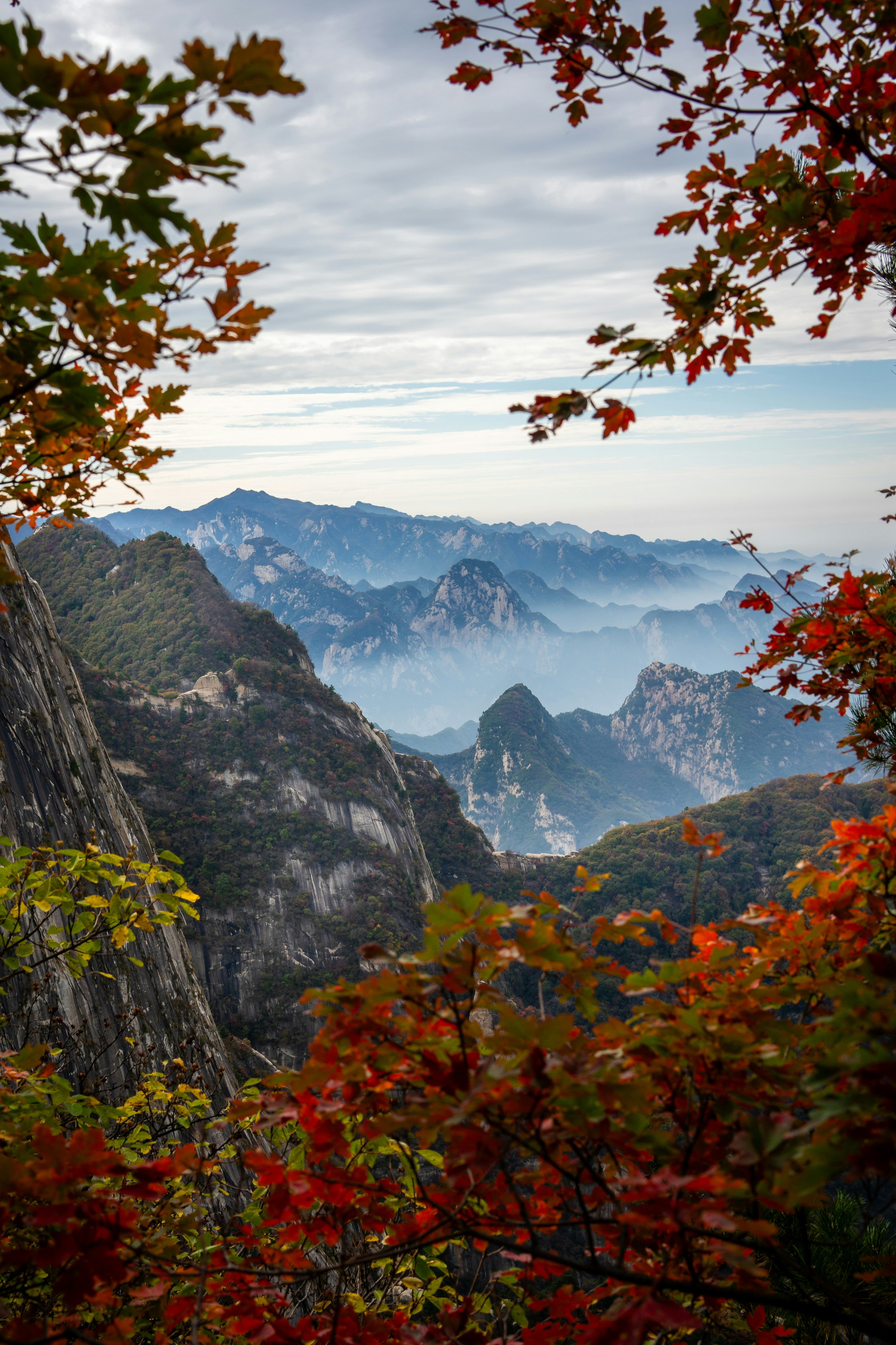 Autumn's Edge: Mist-Laden Peaks Framed by Crimson Foliage