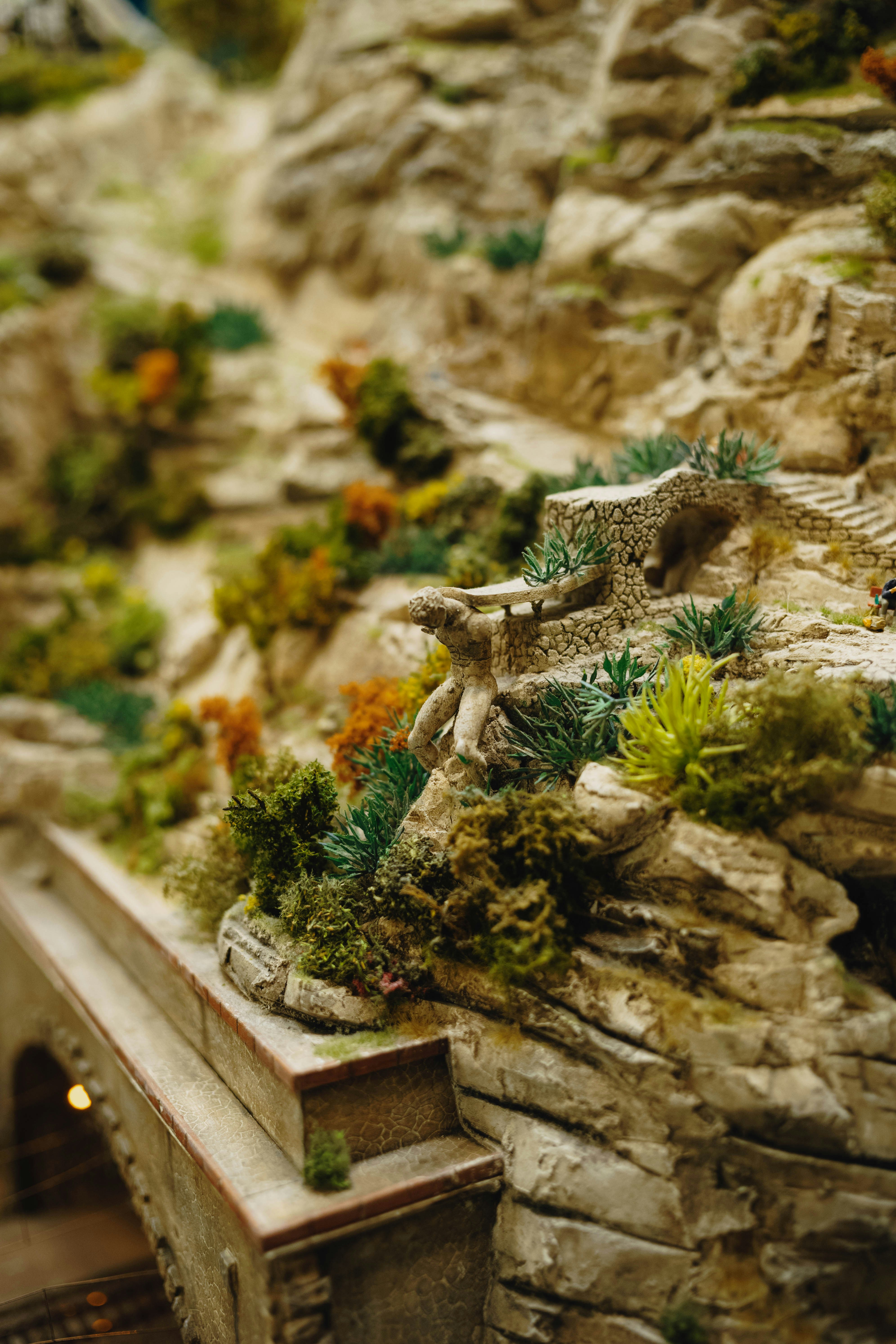 Miniature Terrace of Stone and Succulents Clinging to a Canyon Wall