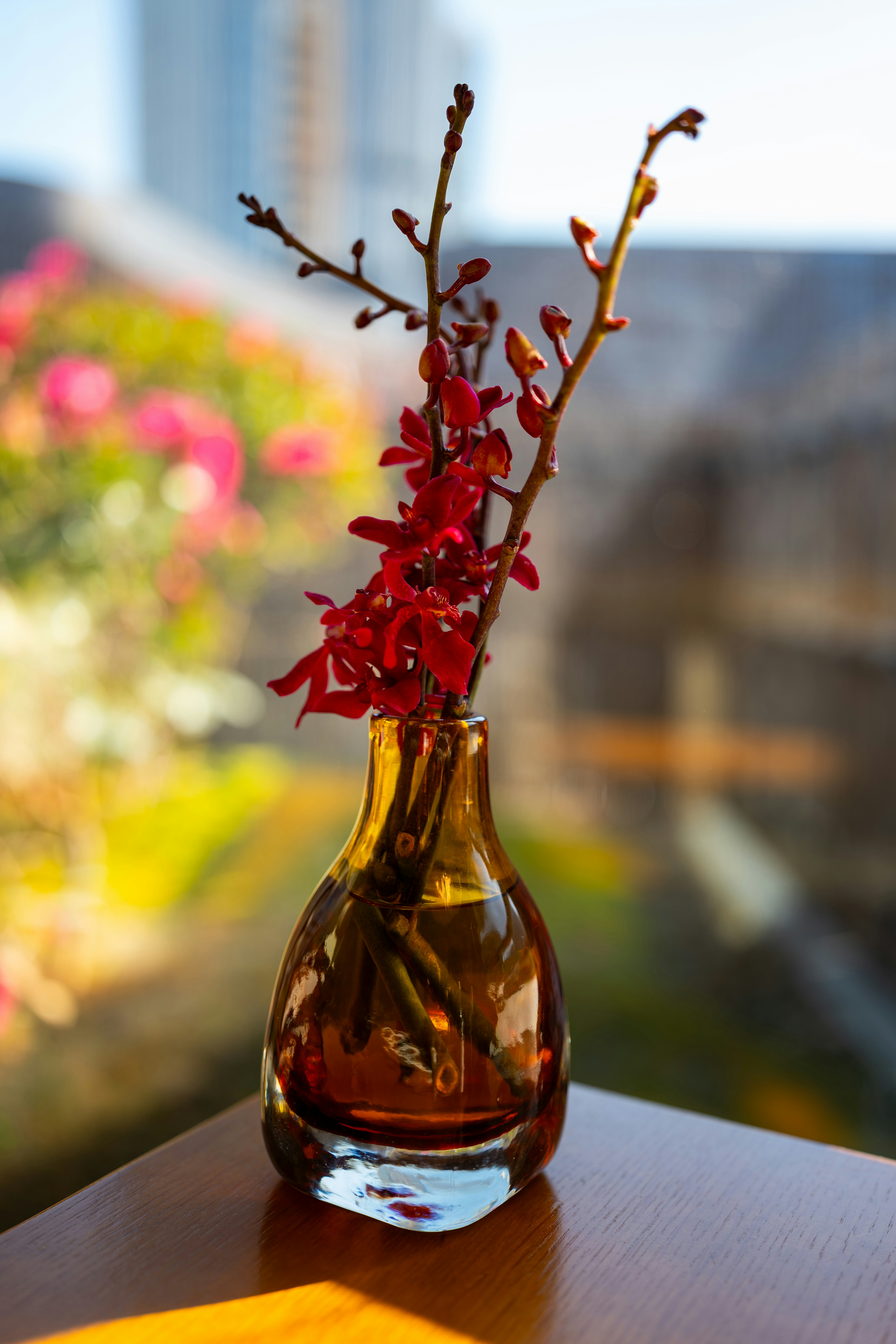 Crimson Blooms in an Amber Vase Against a Sunlit City Backdrop