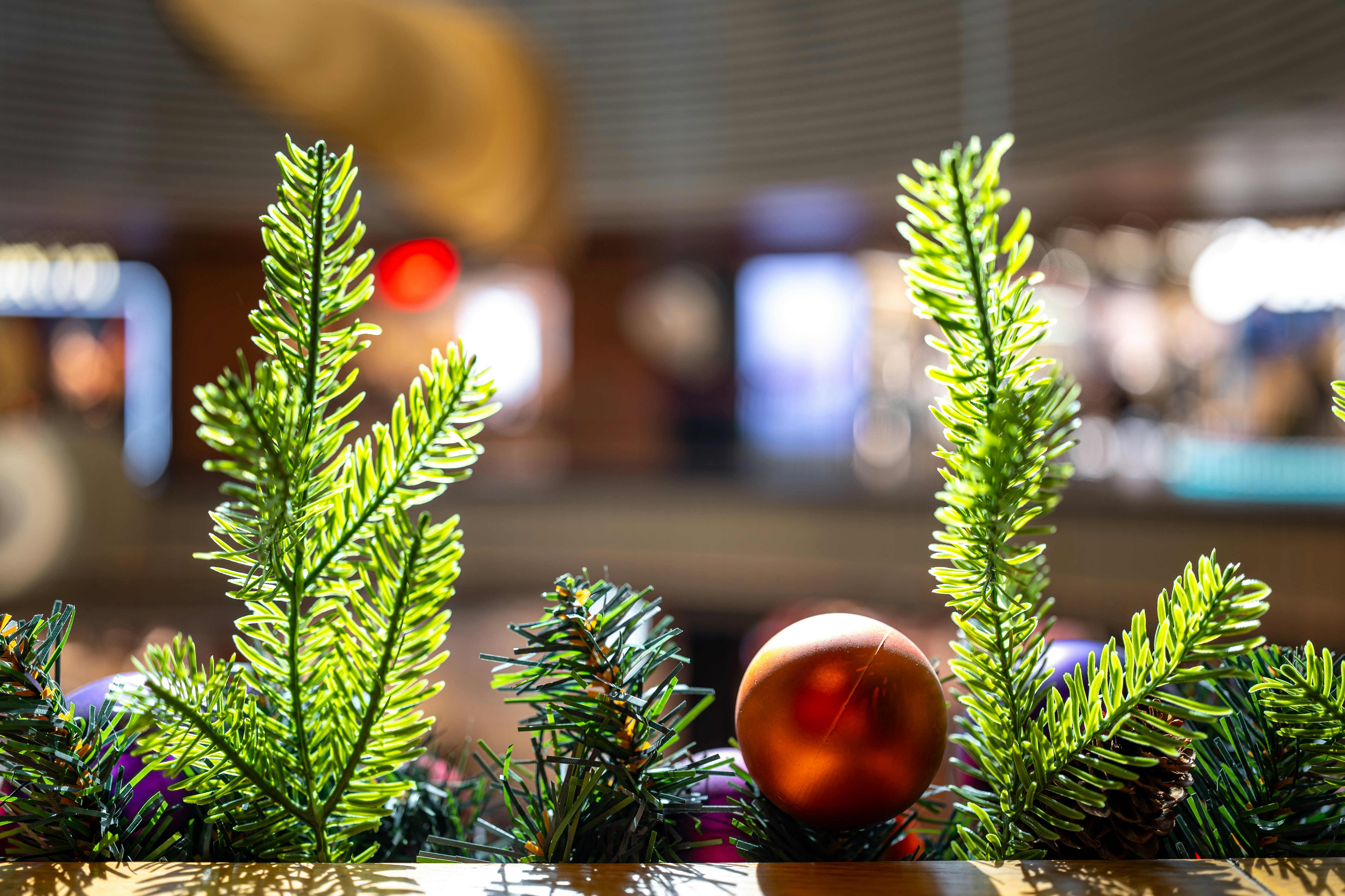 Red Orb Among Evergreen Fronds in a Festive Mall Display