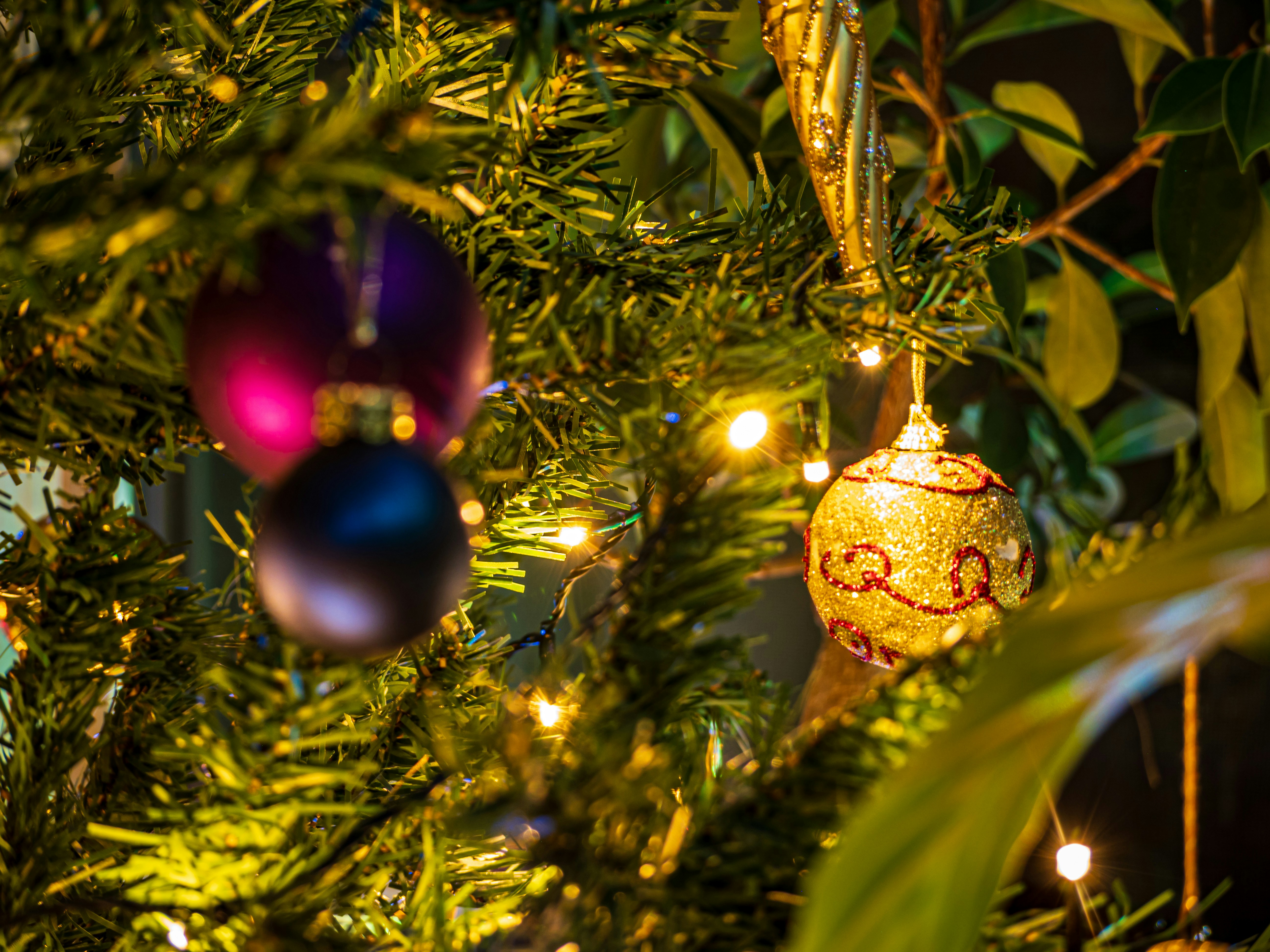A close up of a christmas tree with ornaments photo – Free Christmas ...