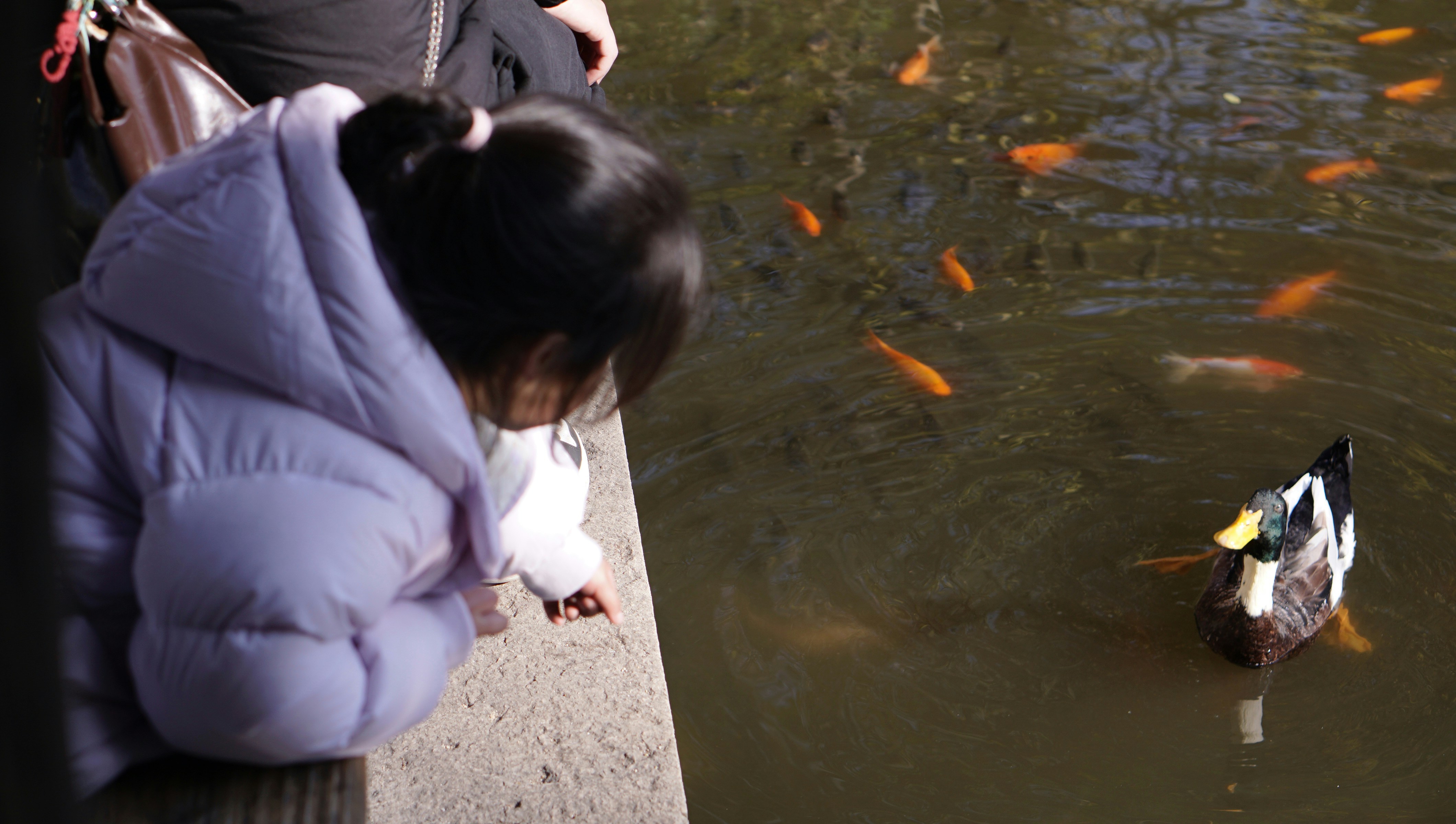 Photo by zheng jing with Sony Alpha 6000