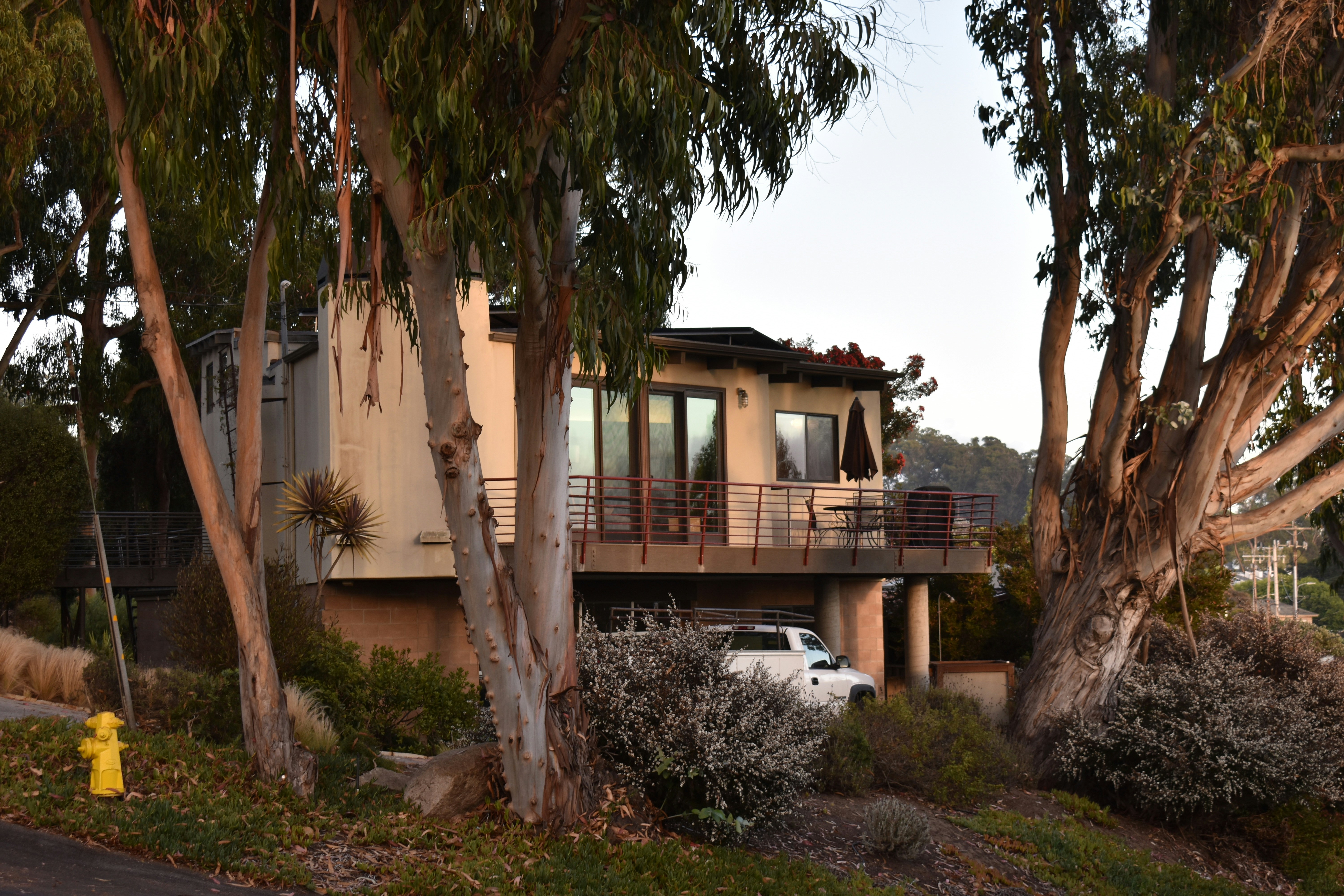 Golden-hour hillside retreat framed by pines