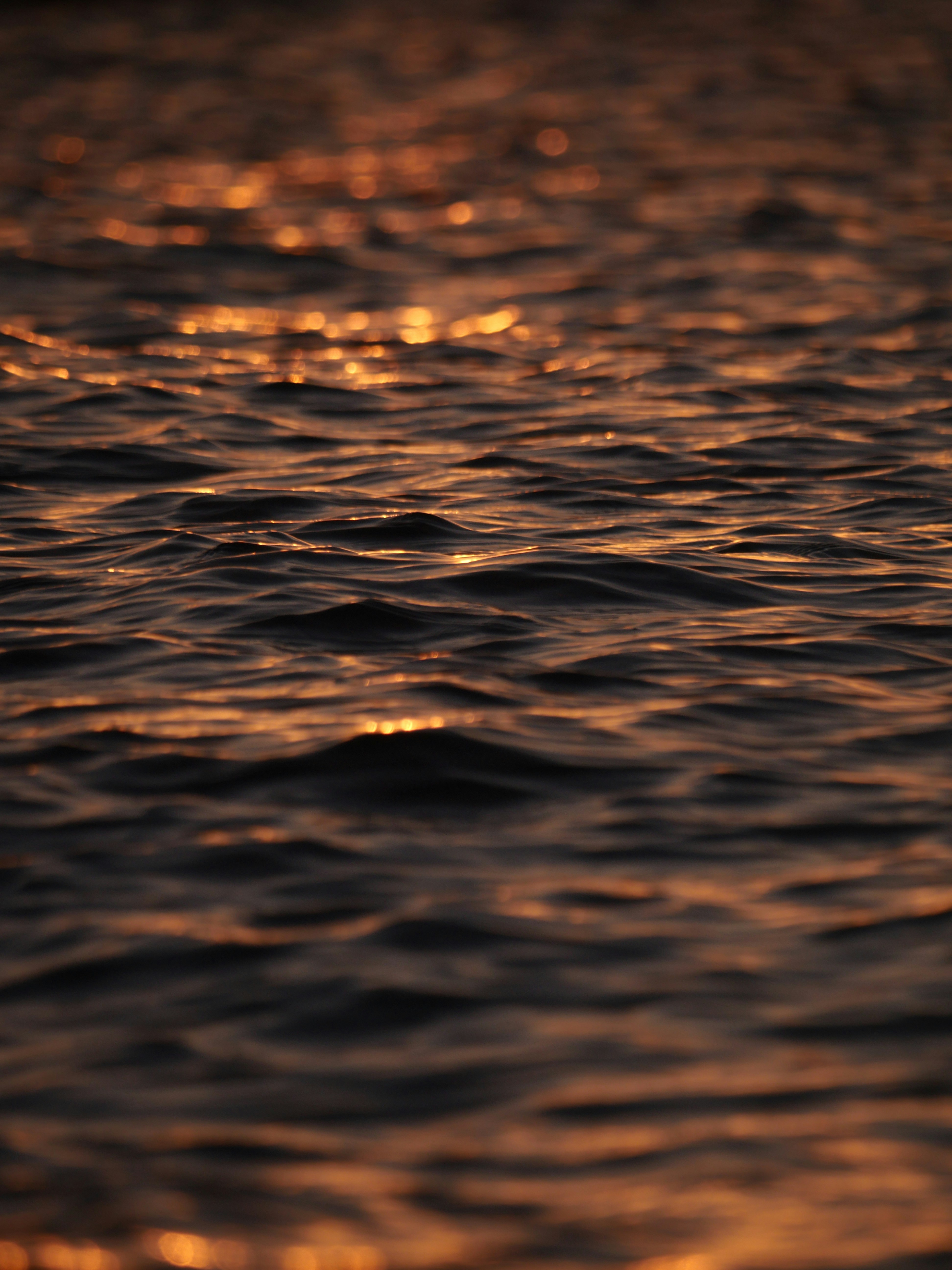 A body of water that has some water in it photo – Free Nature Image on ...