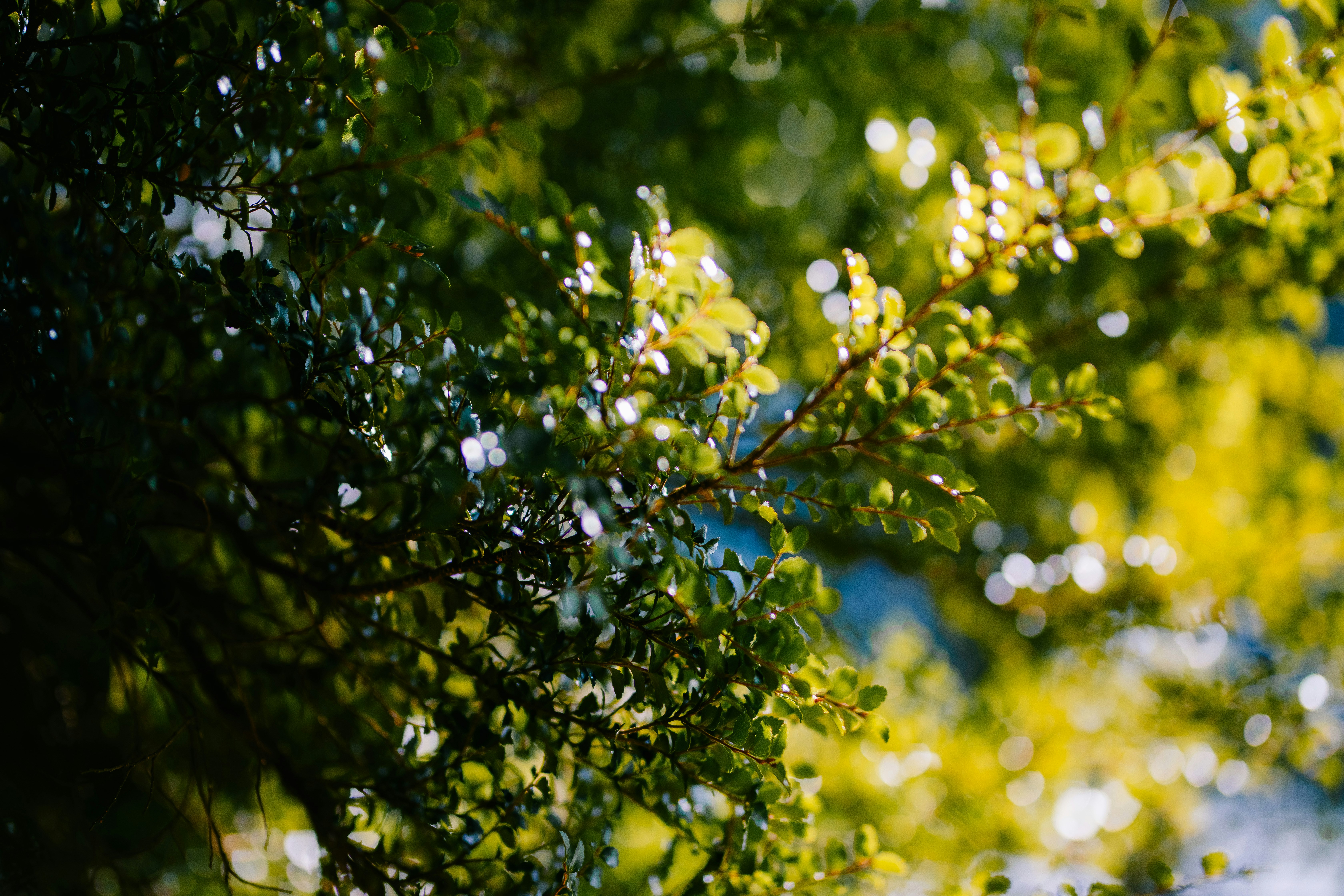 Photo by Aleksandra Boguslawska with Canon EOS 5D Mark IV