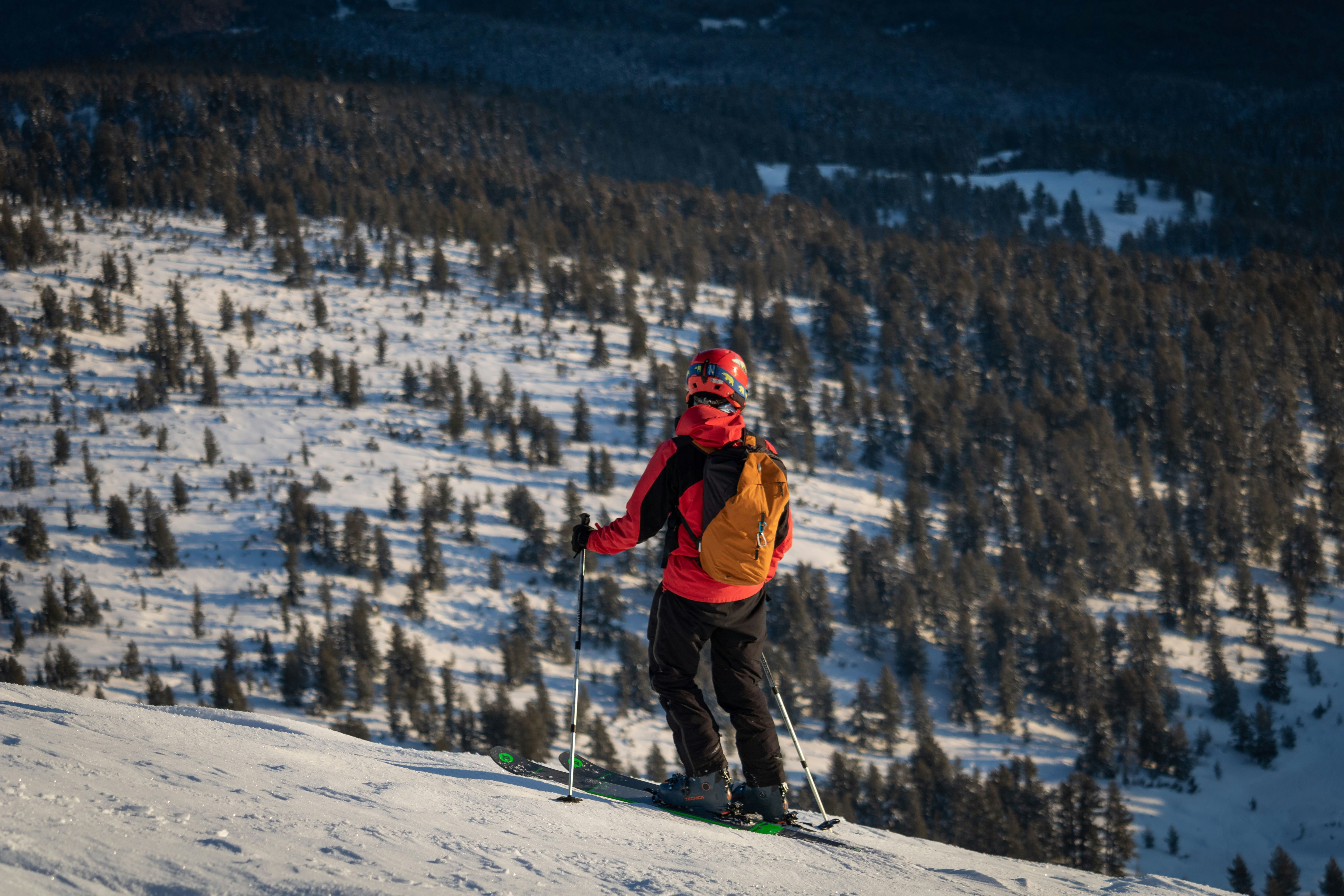 Skier in red jacket and orange backpack surveys a sunlit snowy landscape dotted with trees.