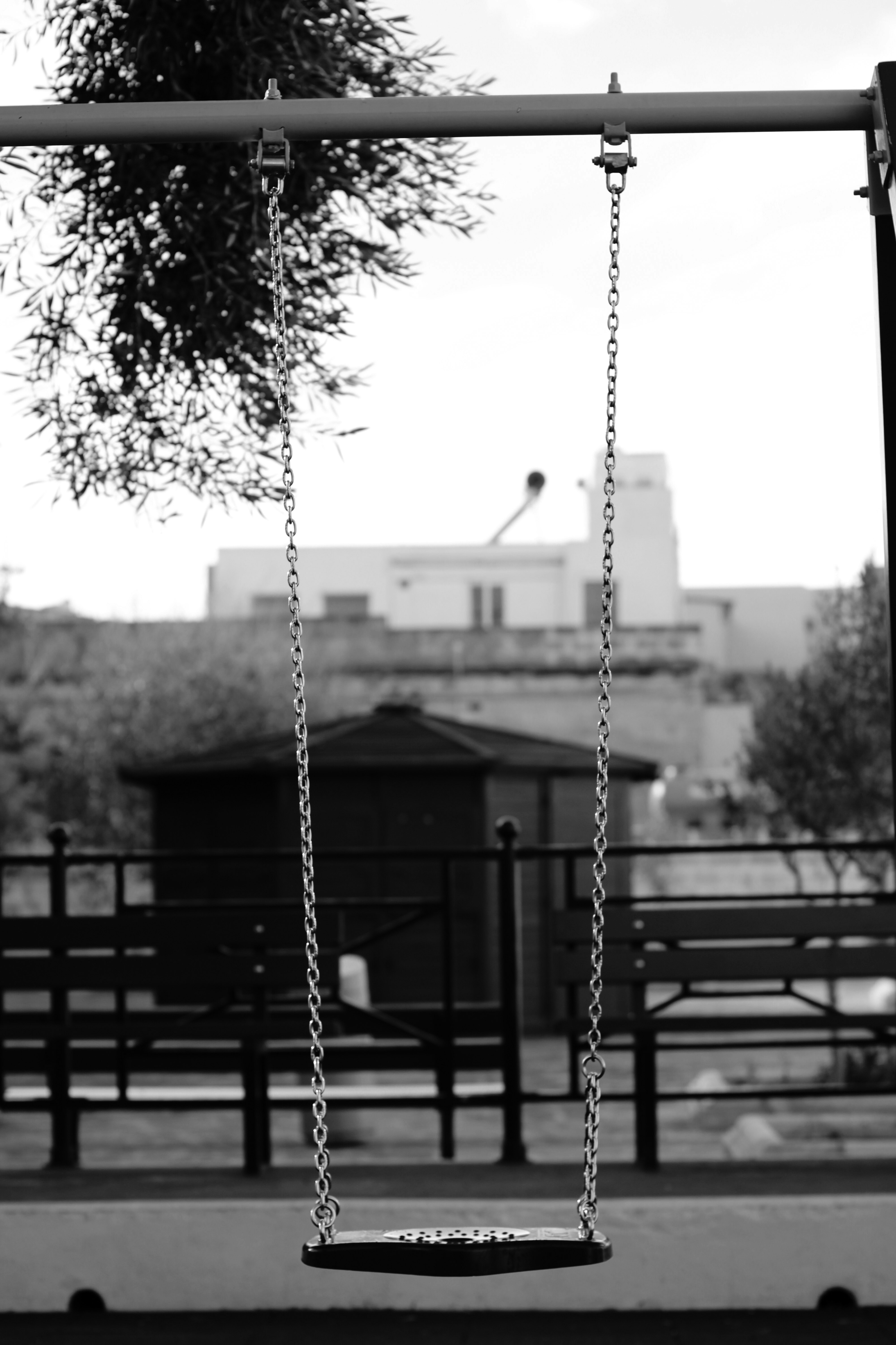 Photo by Neil Kami with Canon EOS 2000D