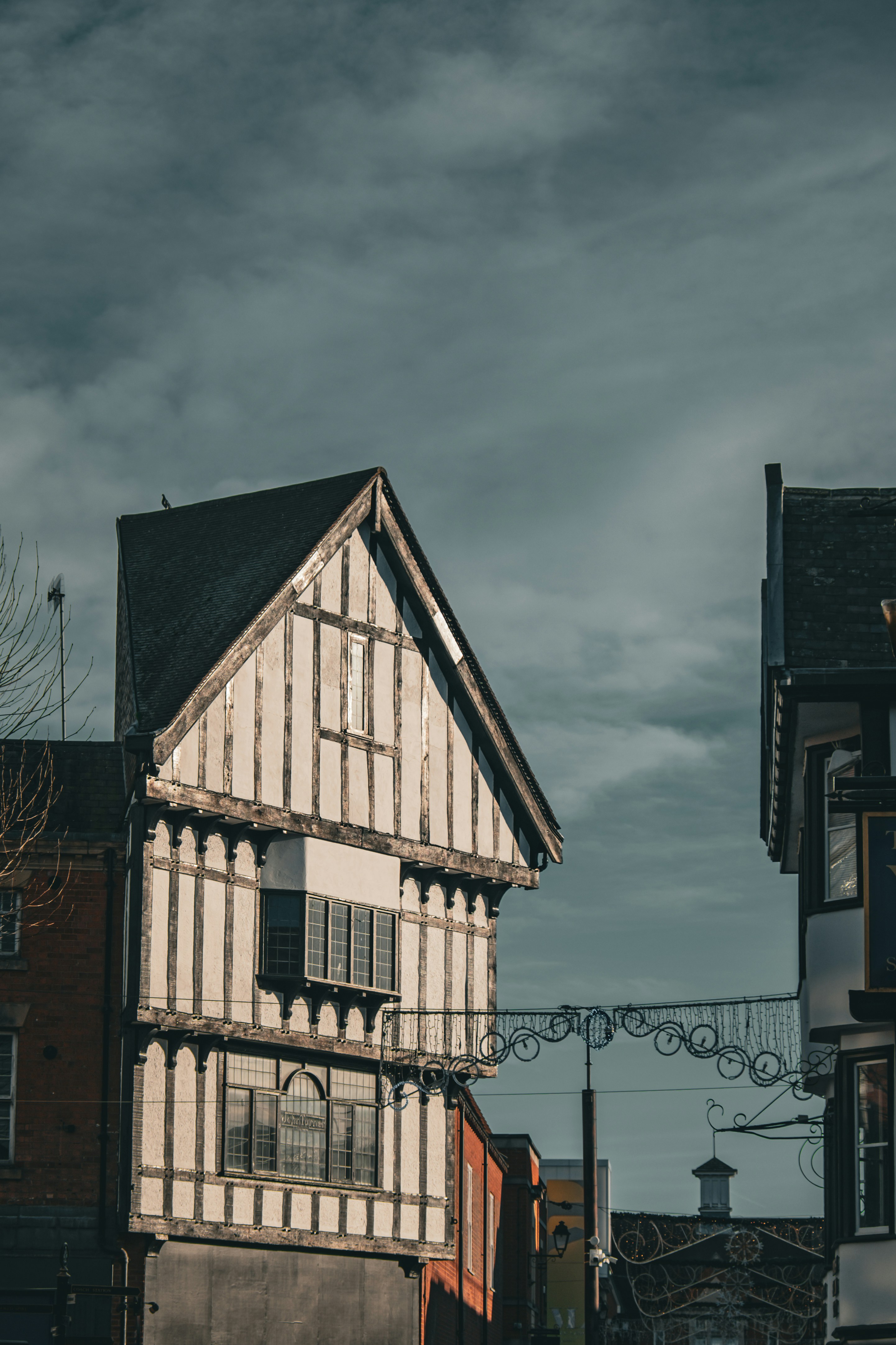 Echoes of Timber and Time