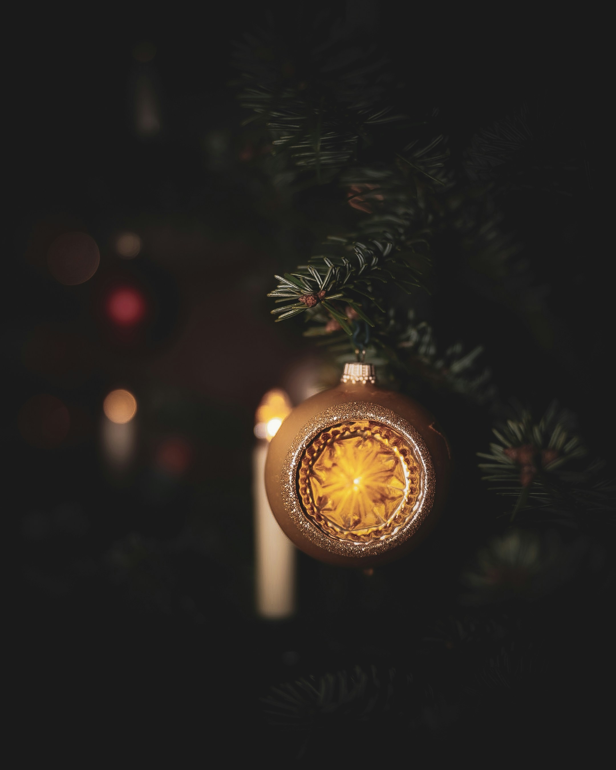 Bright Ornament Echoes Warm Glow Amid Quiet Evergreen