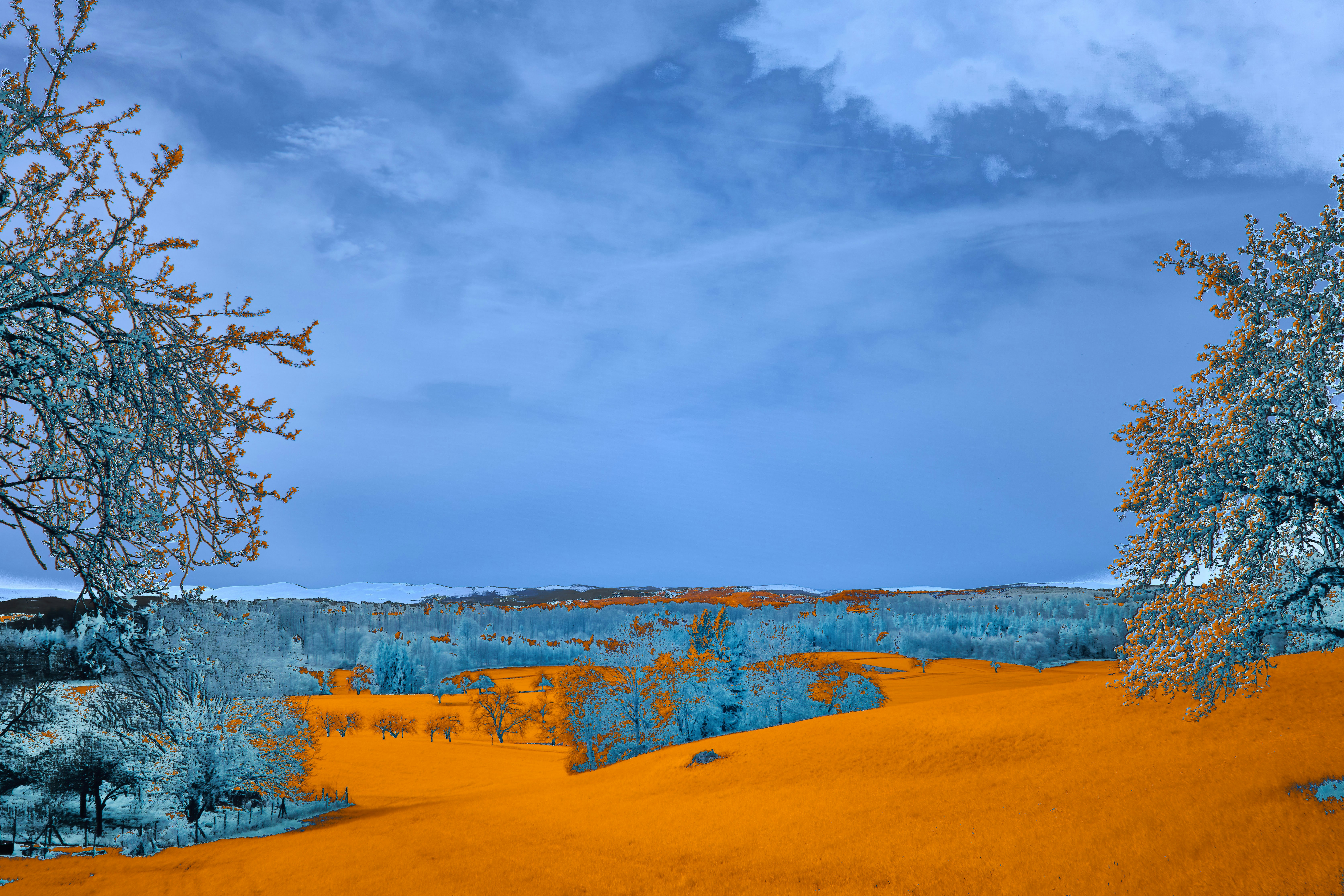 Photo by Wolfgang Hasselmann with Sony Alpha 7 IV