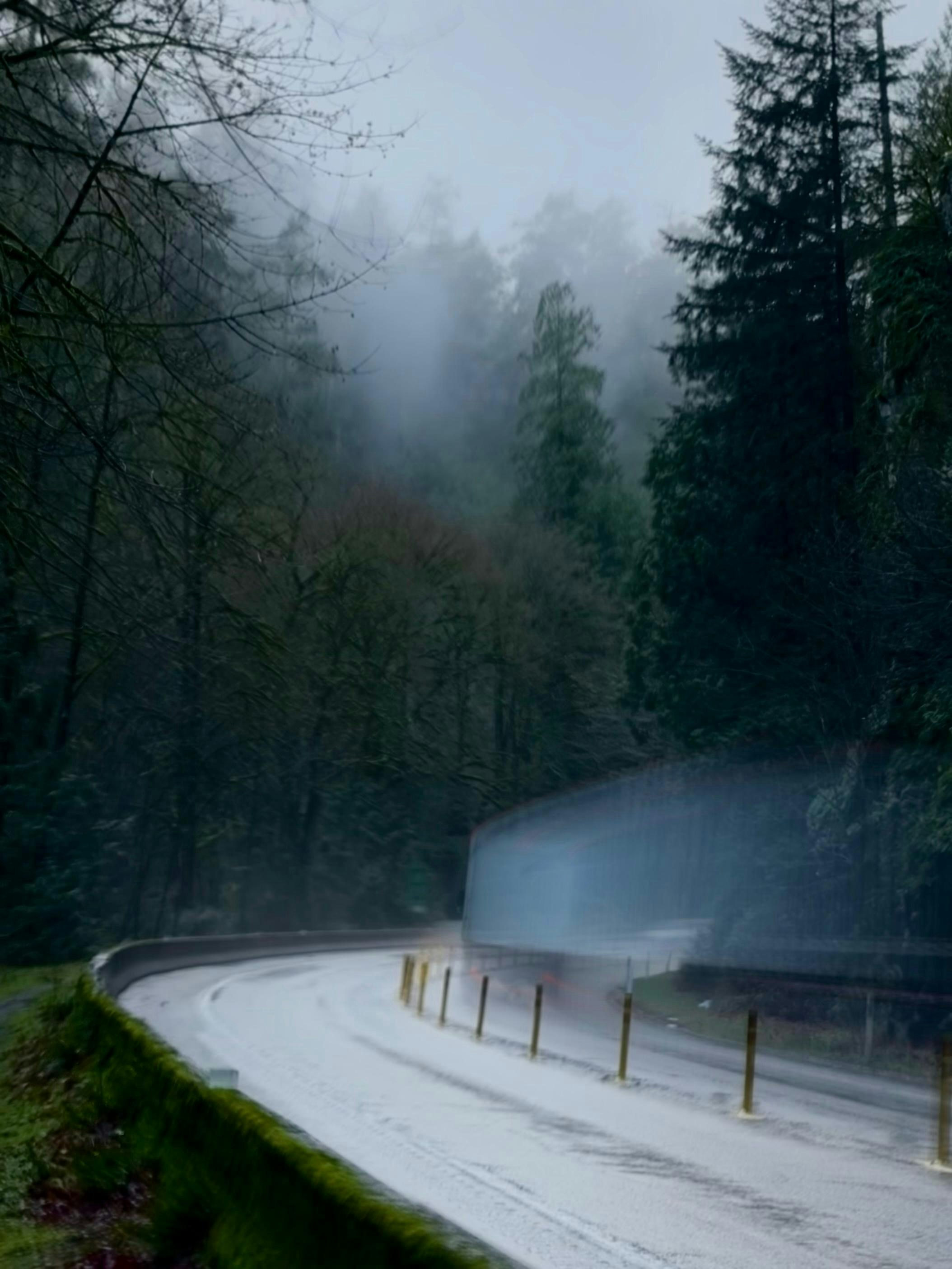 Winding, fog-enshrouded forest road with a blue truck blurred by motion along the guardrails.