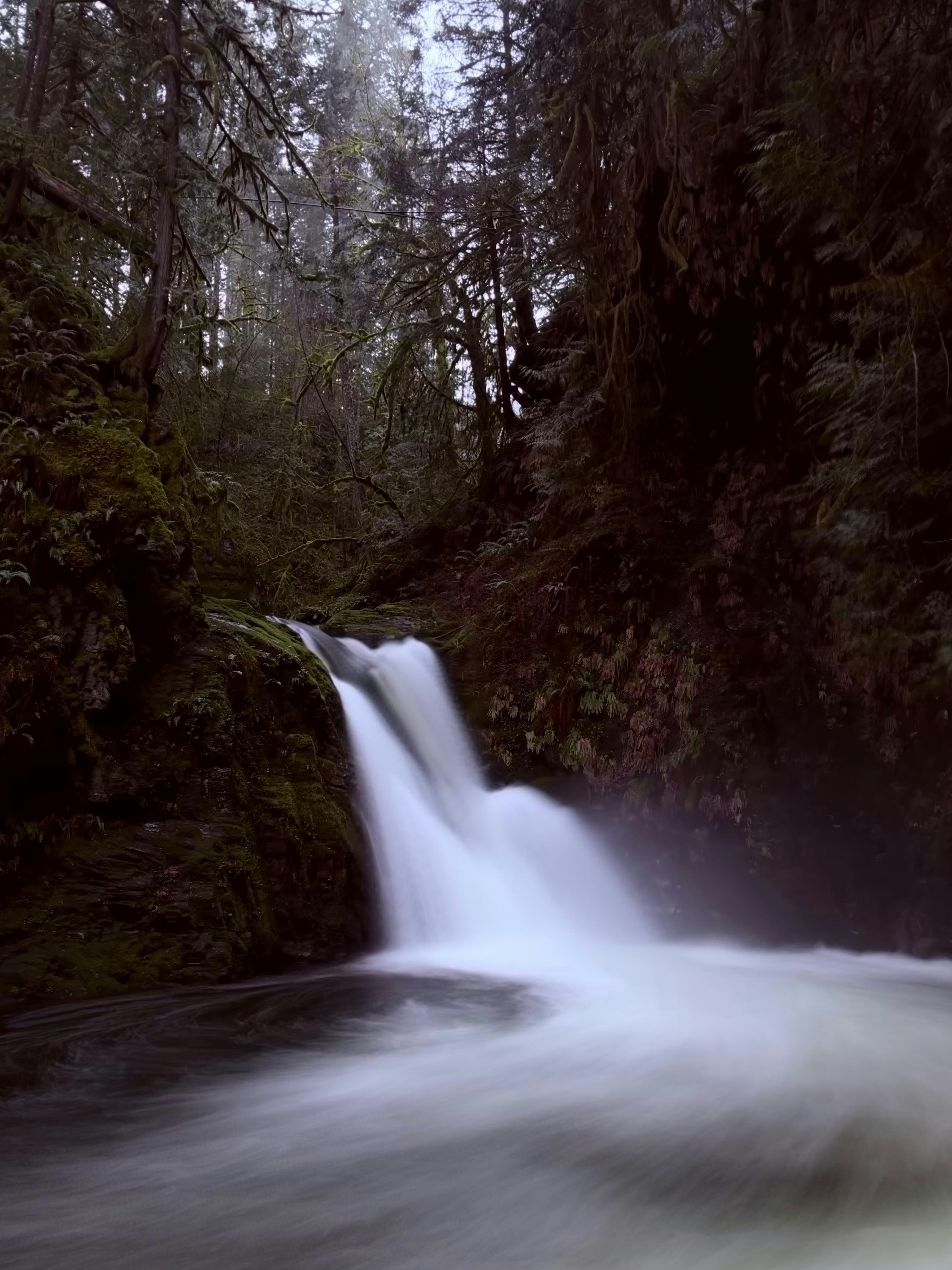 Silky waterfall pours over moss-covered rocks in a dim evergreen gorge, with mist curling through the dense forest.