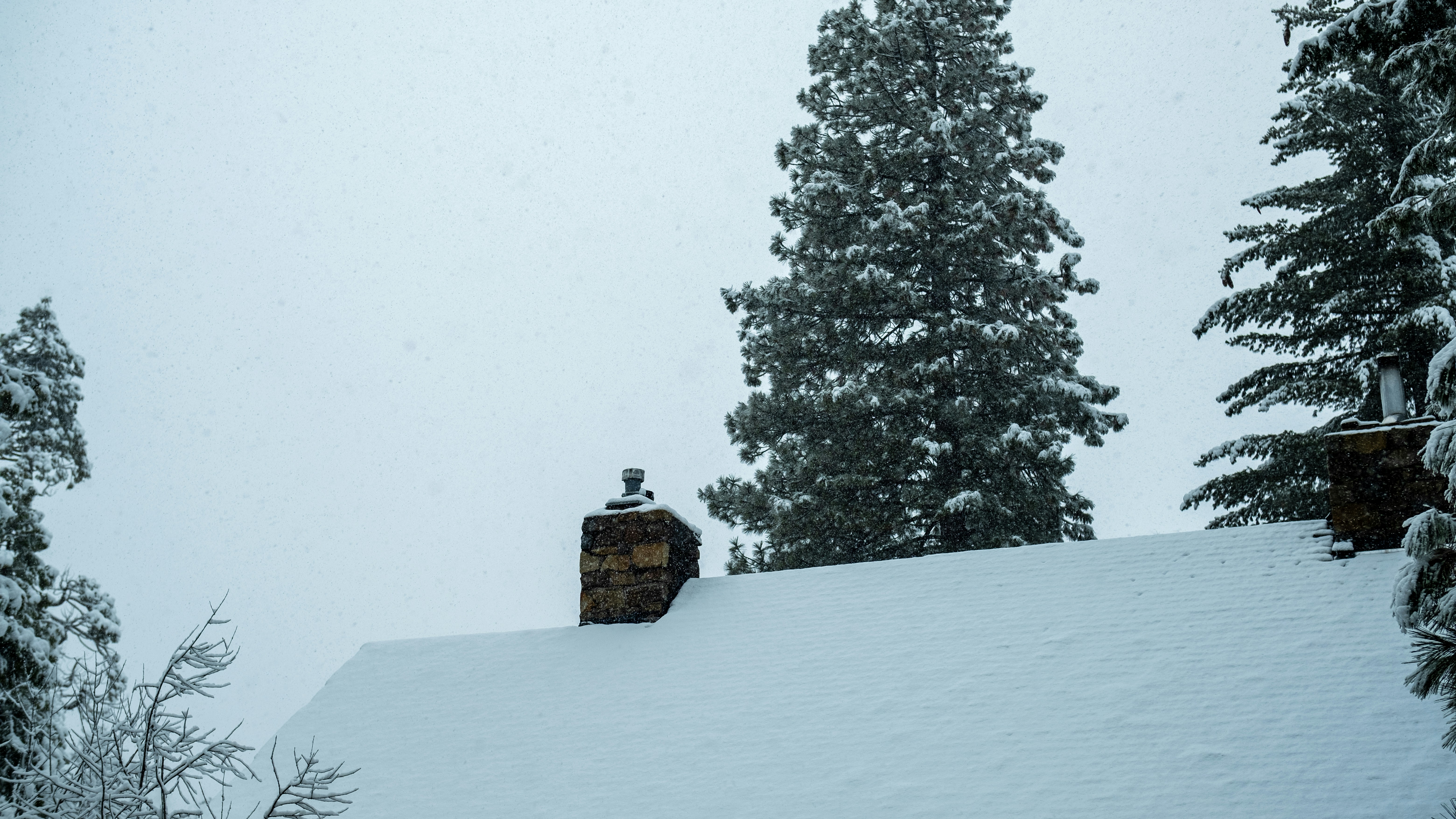 Falling snow on a USFS cabin with trees in the background