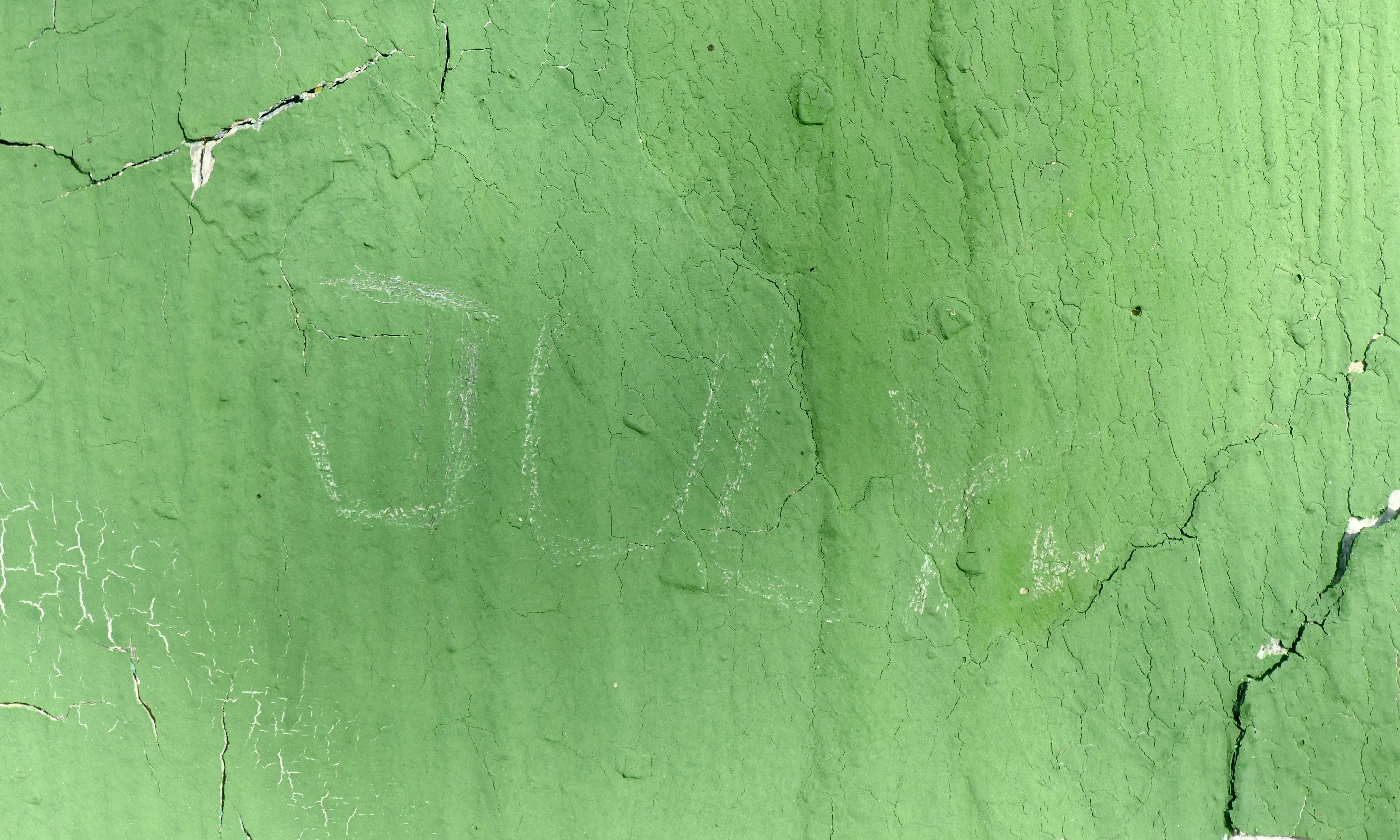 Chalked whispers on a lime-green wall: a weathered texture study