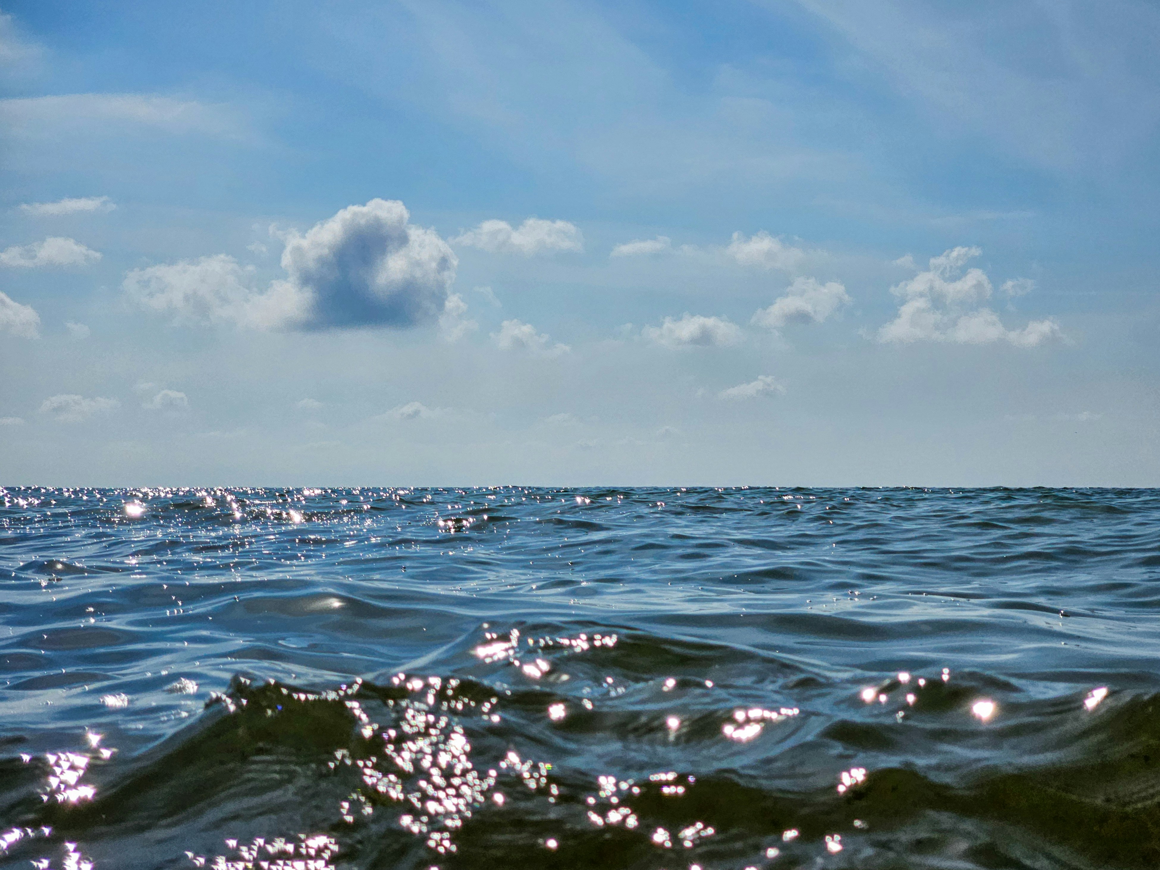 Glittering Crest: Sunlit Waves and a Quiet Horizon