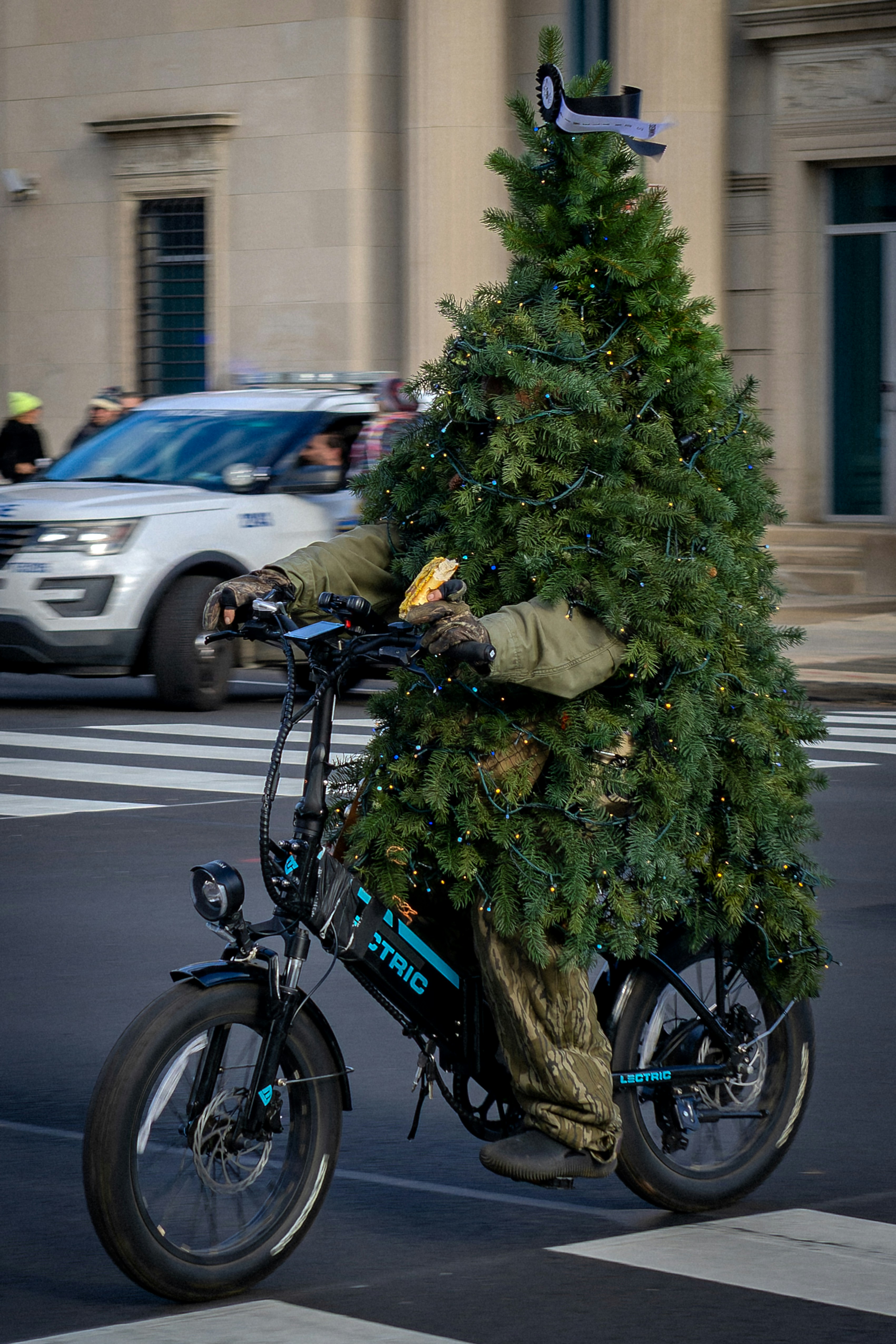 A person riding a bike with a christmas tree on the back photo – Free ...