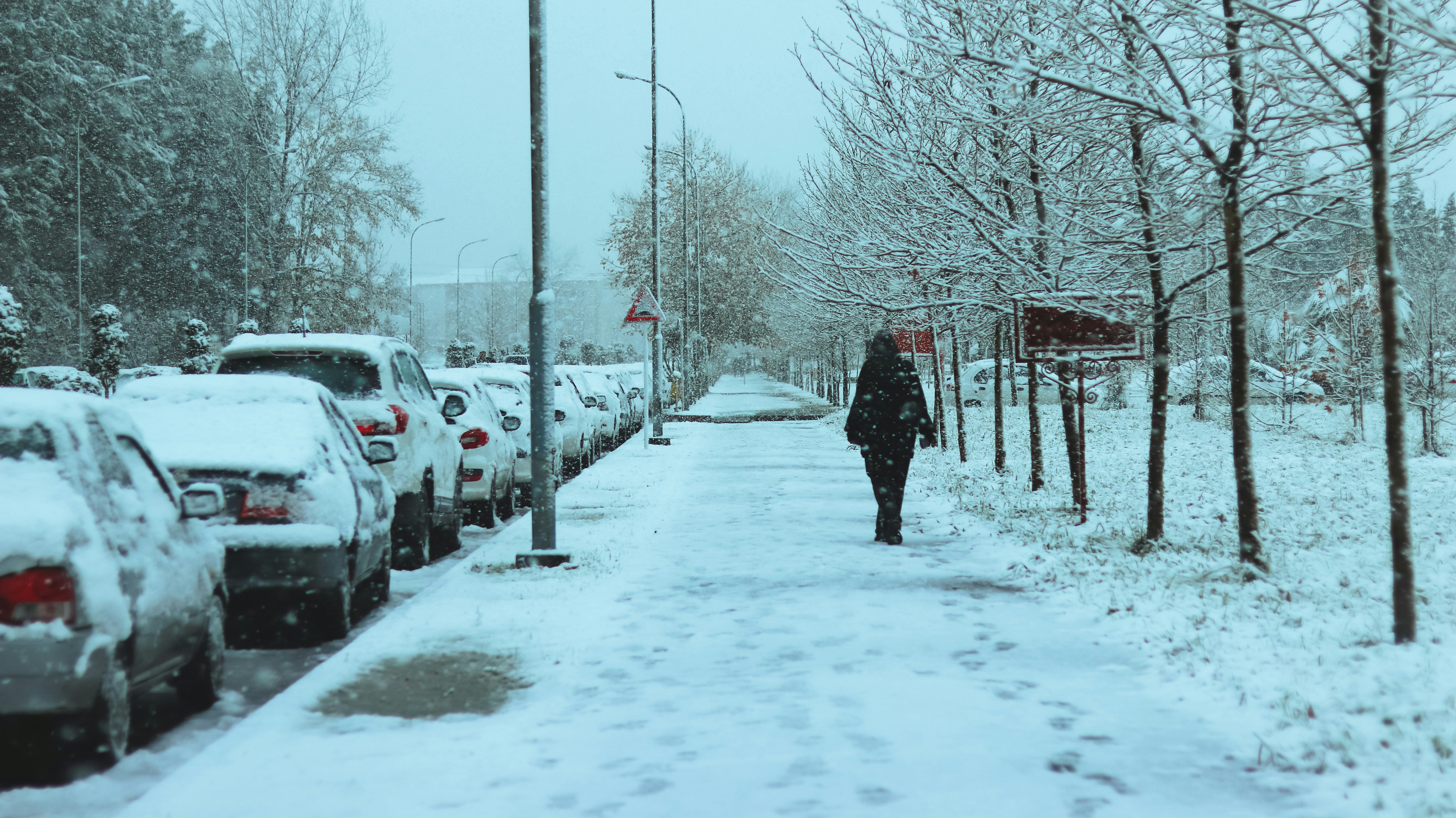 A lone figure strolls along a snow-covered sidewalk, flanked by parked cars and trees dusted with fresh snow.