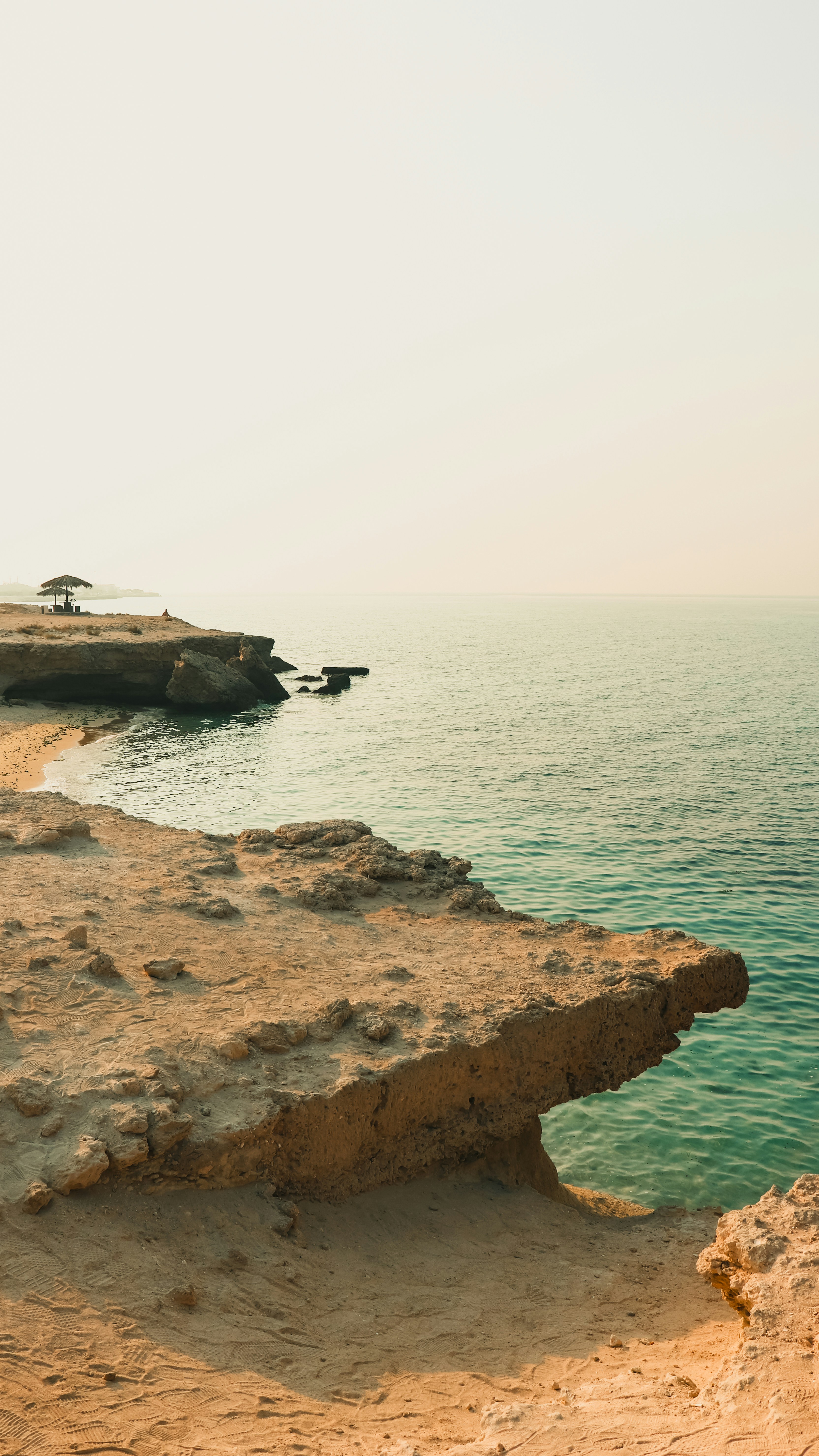 Lone Tree at the Cliff's Edge Over a Quiet Turquoise Sea