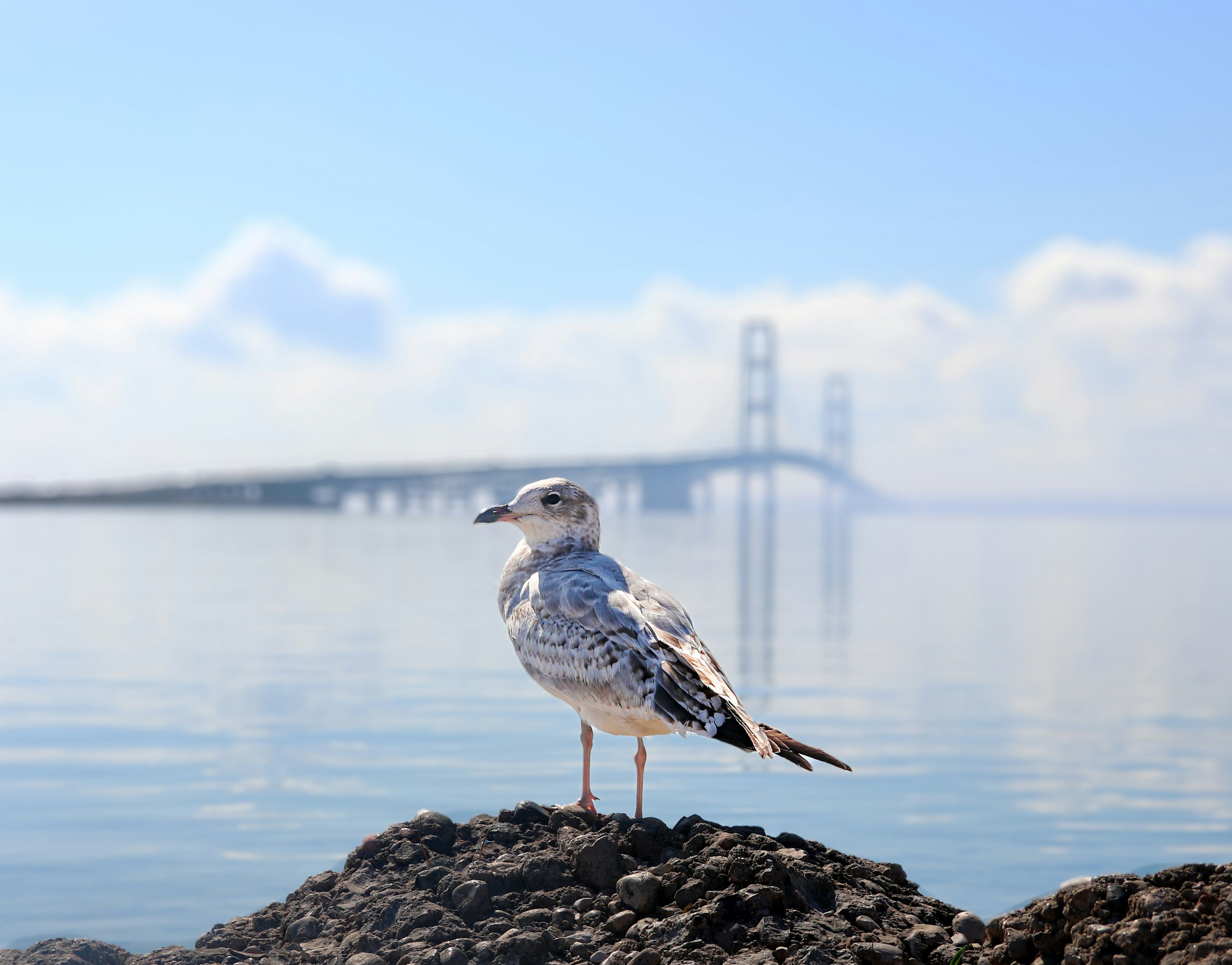 Photo by Michaela Zuzula with Canon EOS 800D