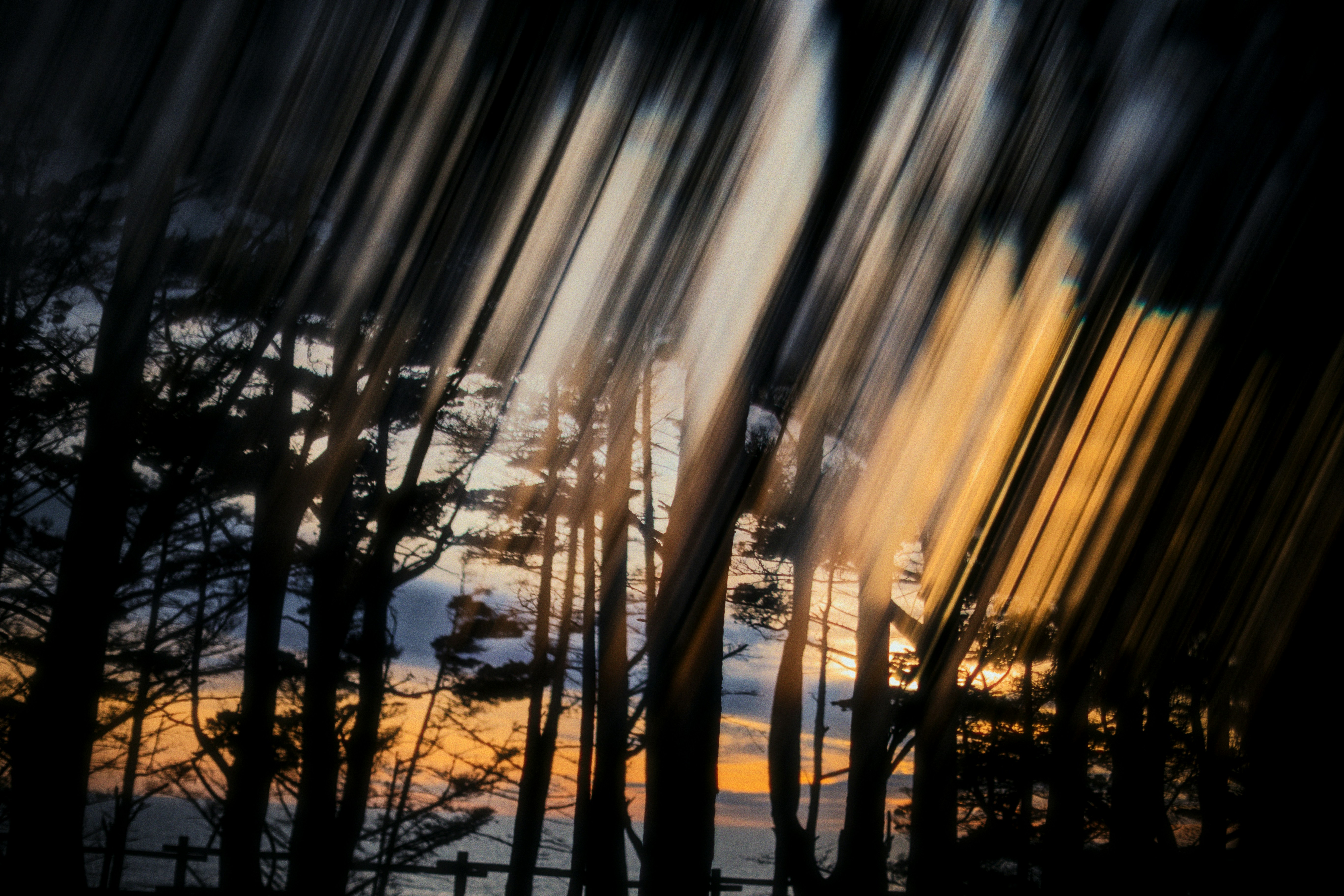 A blurry photo of trees with a sunset in the background photo – Free ...