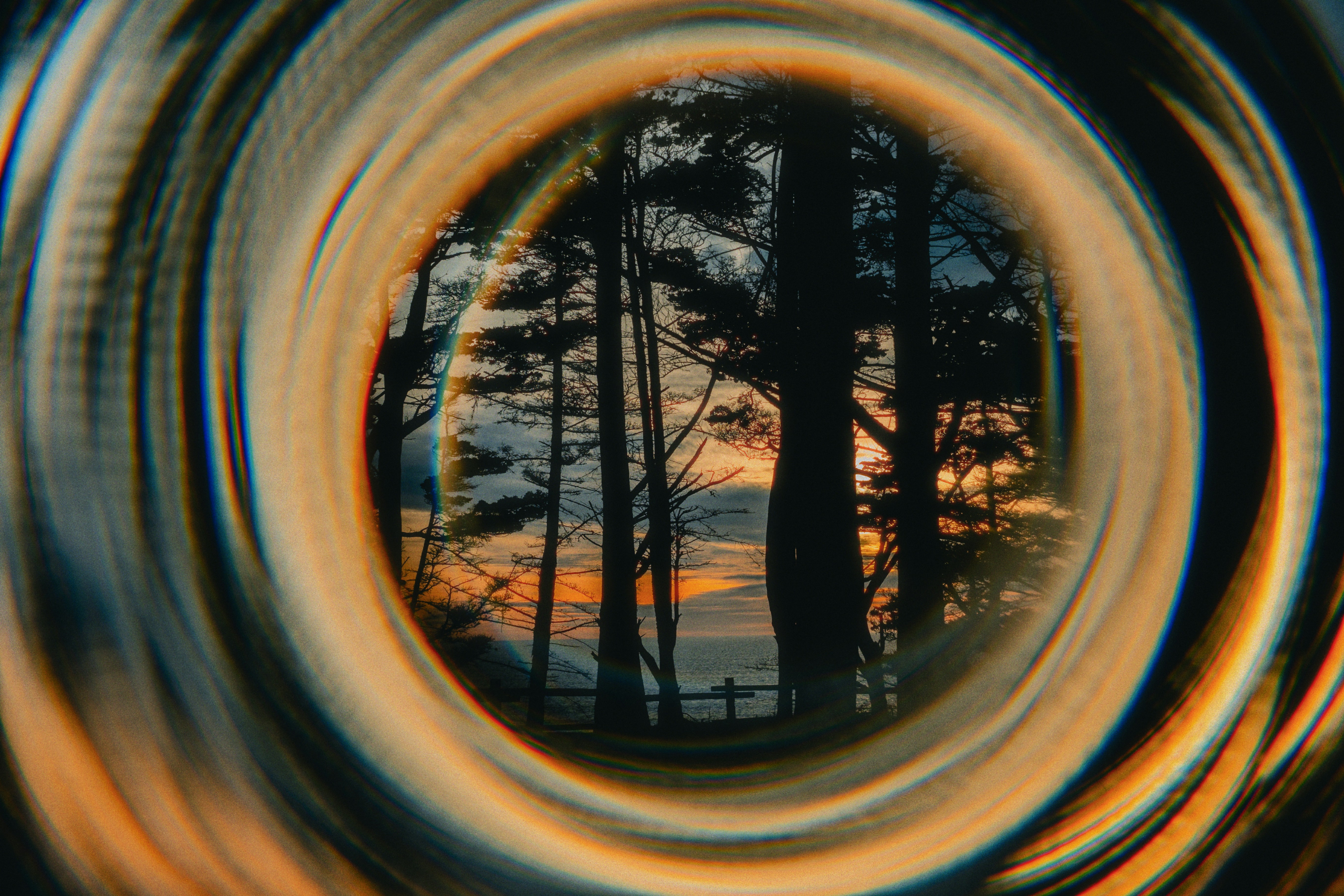 Ethereal Forest Through a Lens