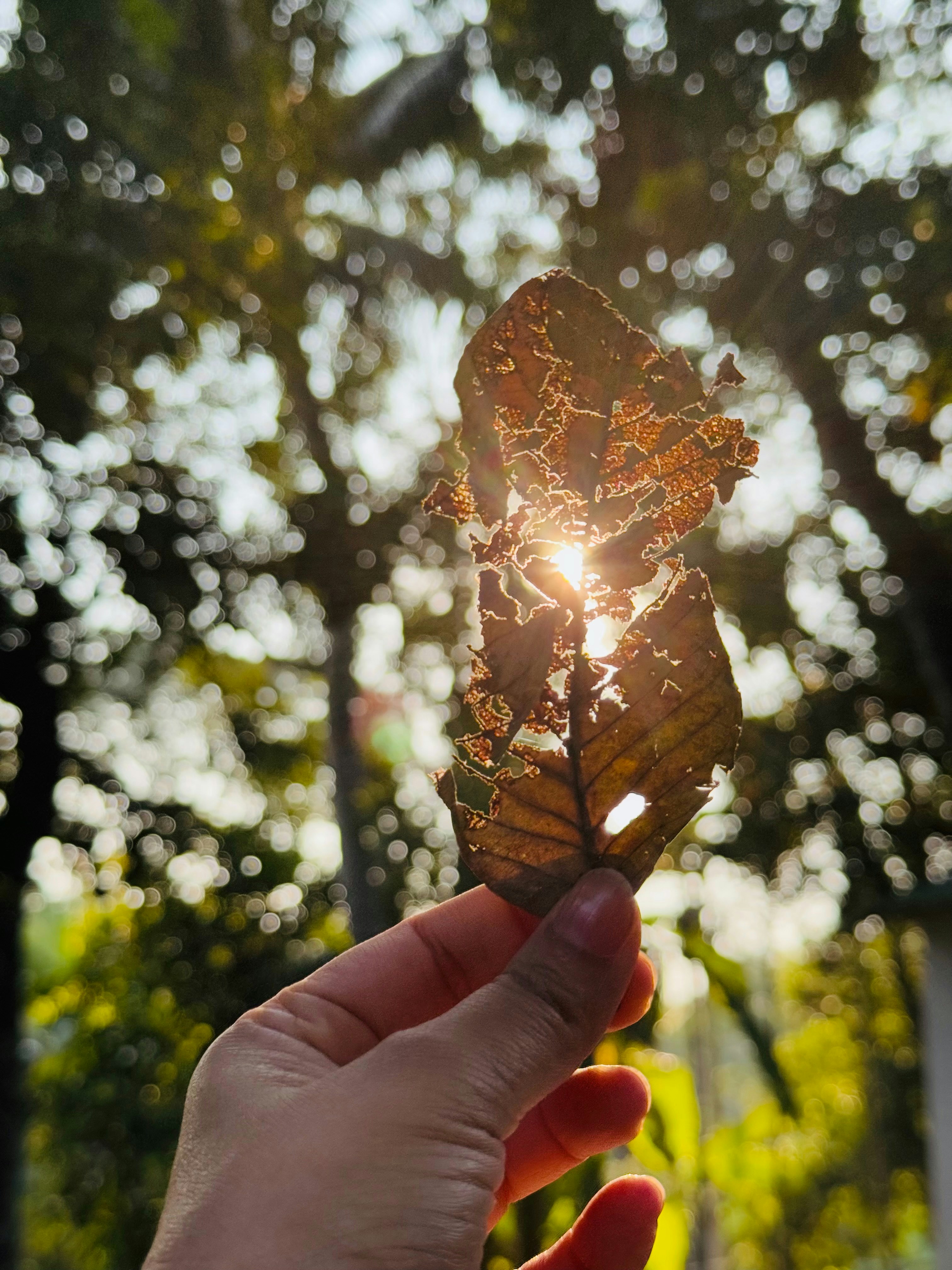 Sample photo from Apple iPhone 15 Pro Max