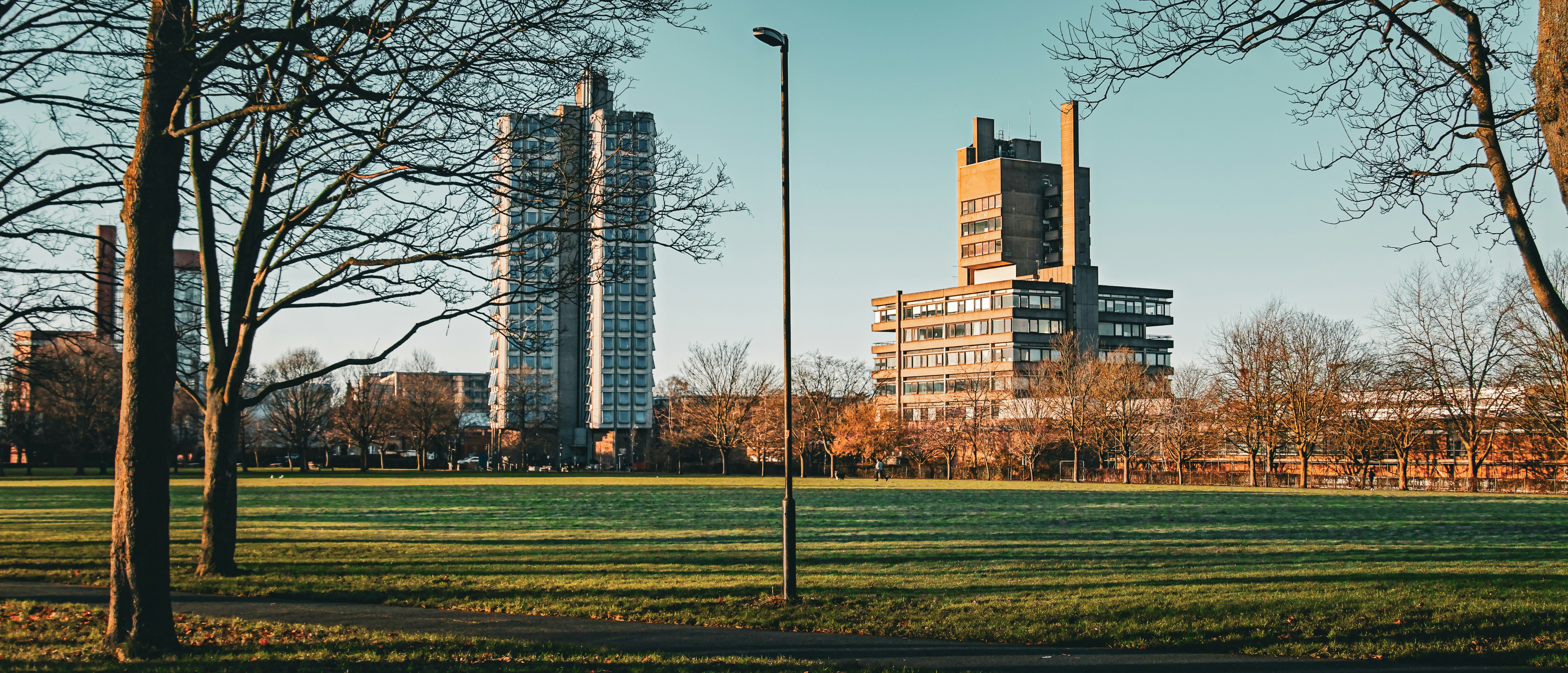 Urban Serenity in the Morning Light