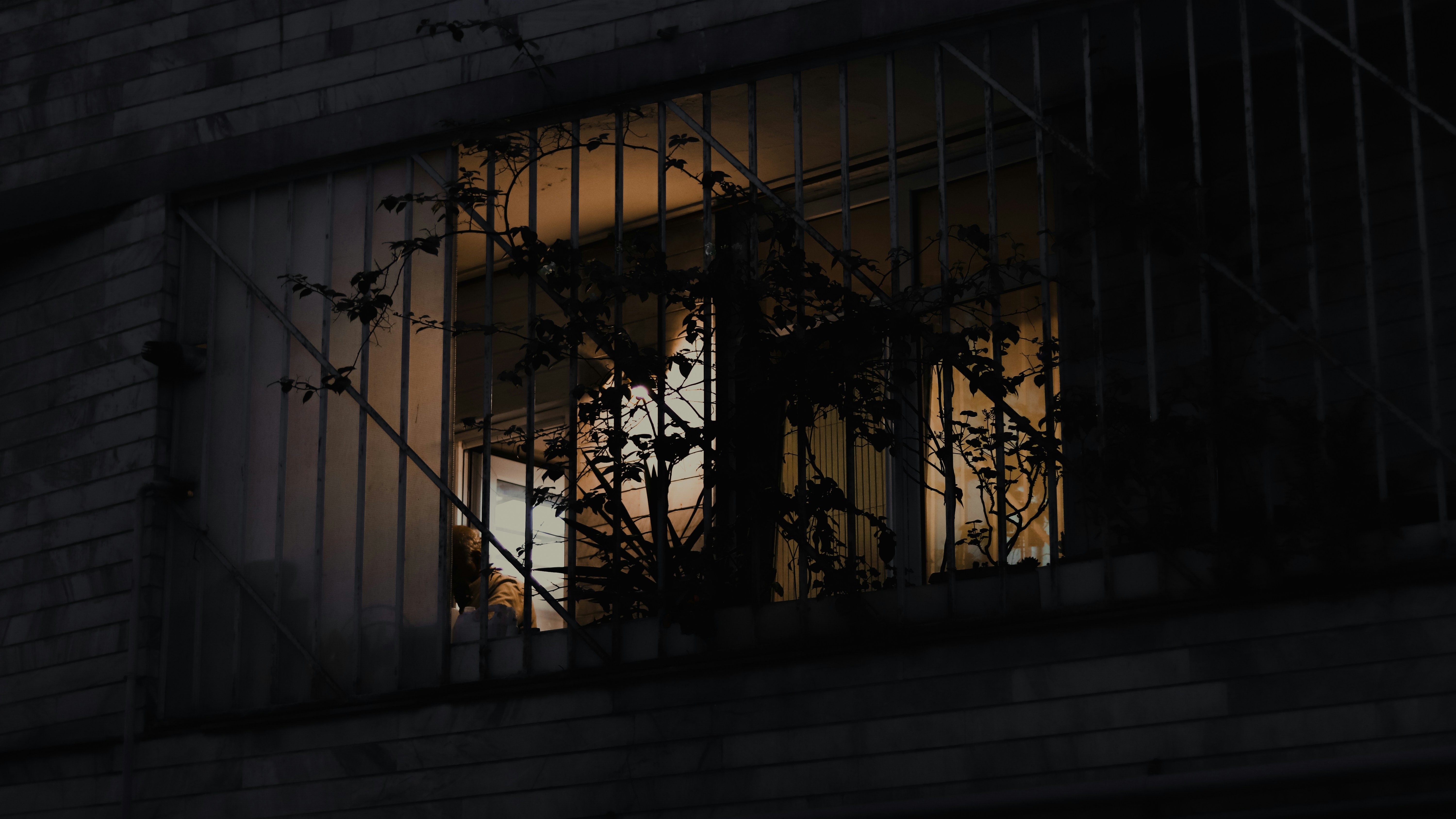 A window in a brick building at night photo – Free Building Image on ...