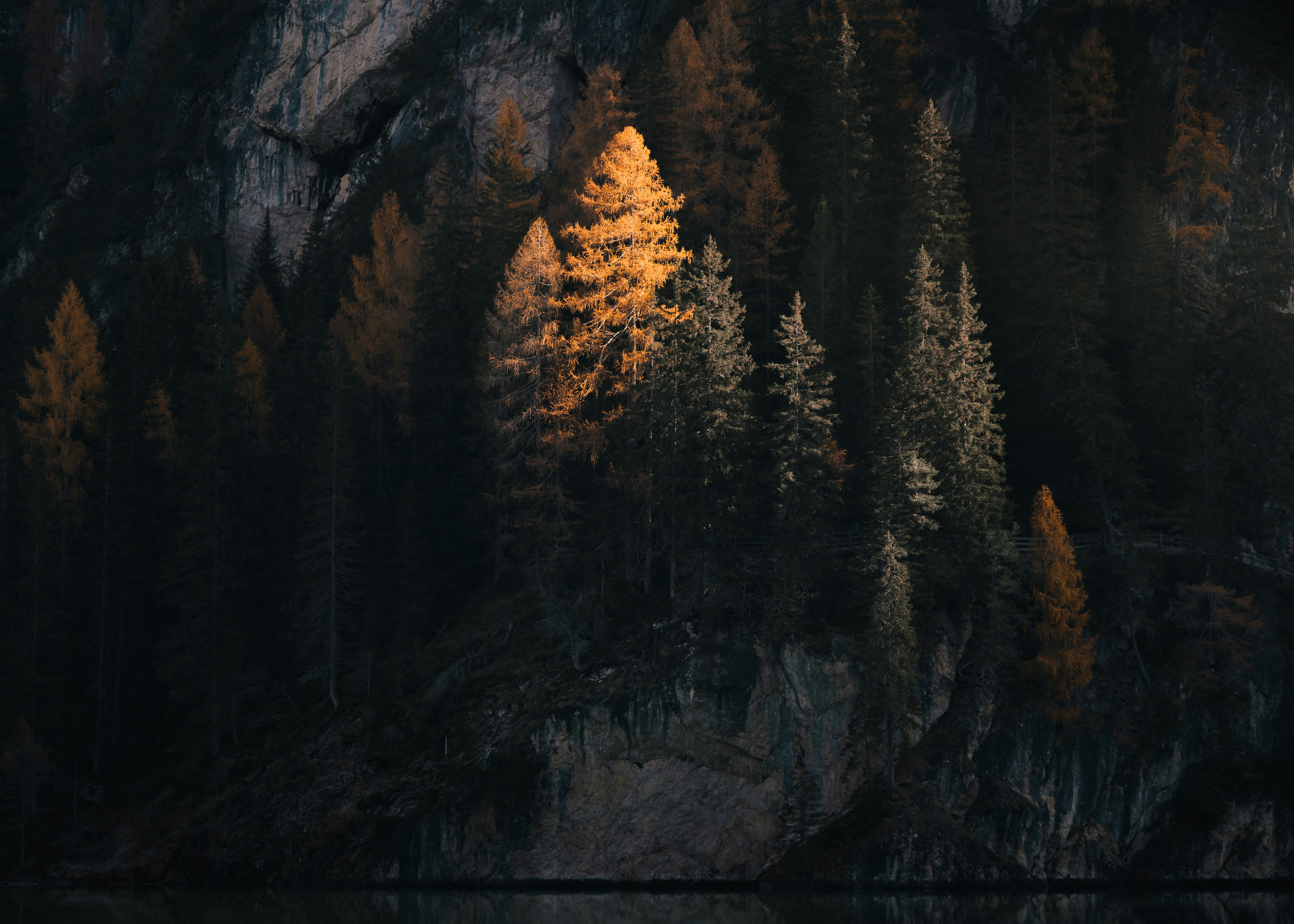 Sheck Background Pictures | Download Free Images on Unsplash