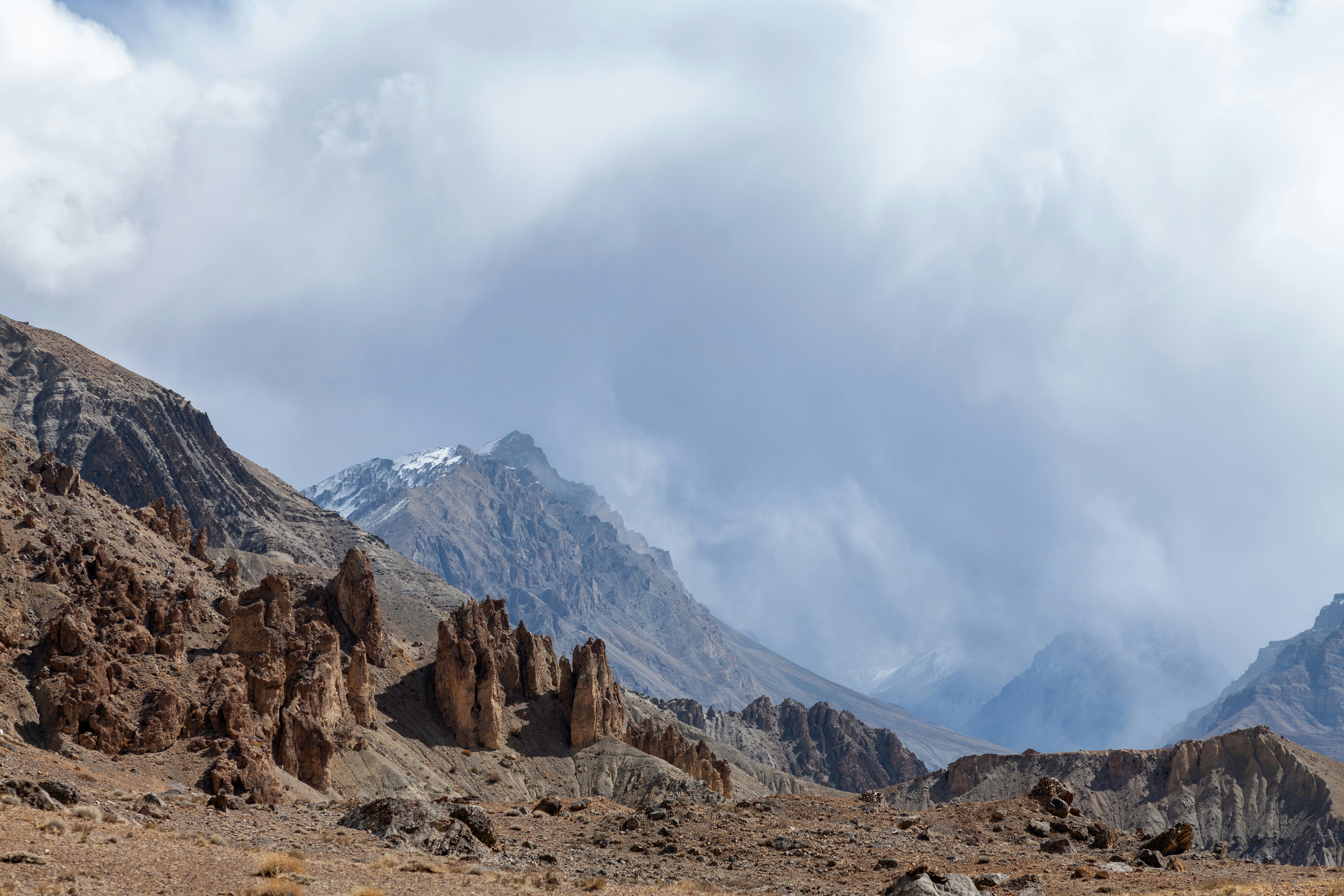 Amazing views while travelling through Spiti | A herd of sheep standing on top of a dry grass field