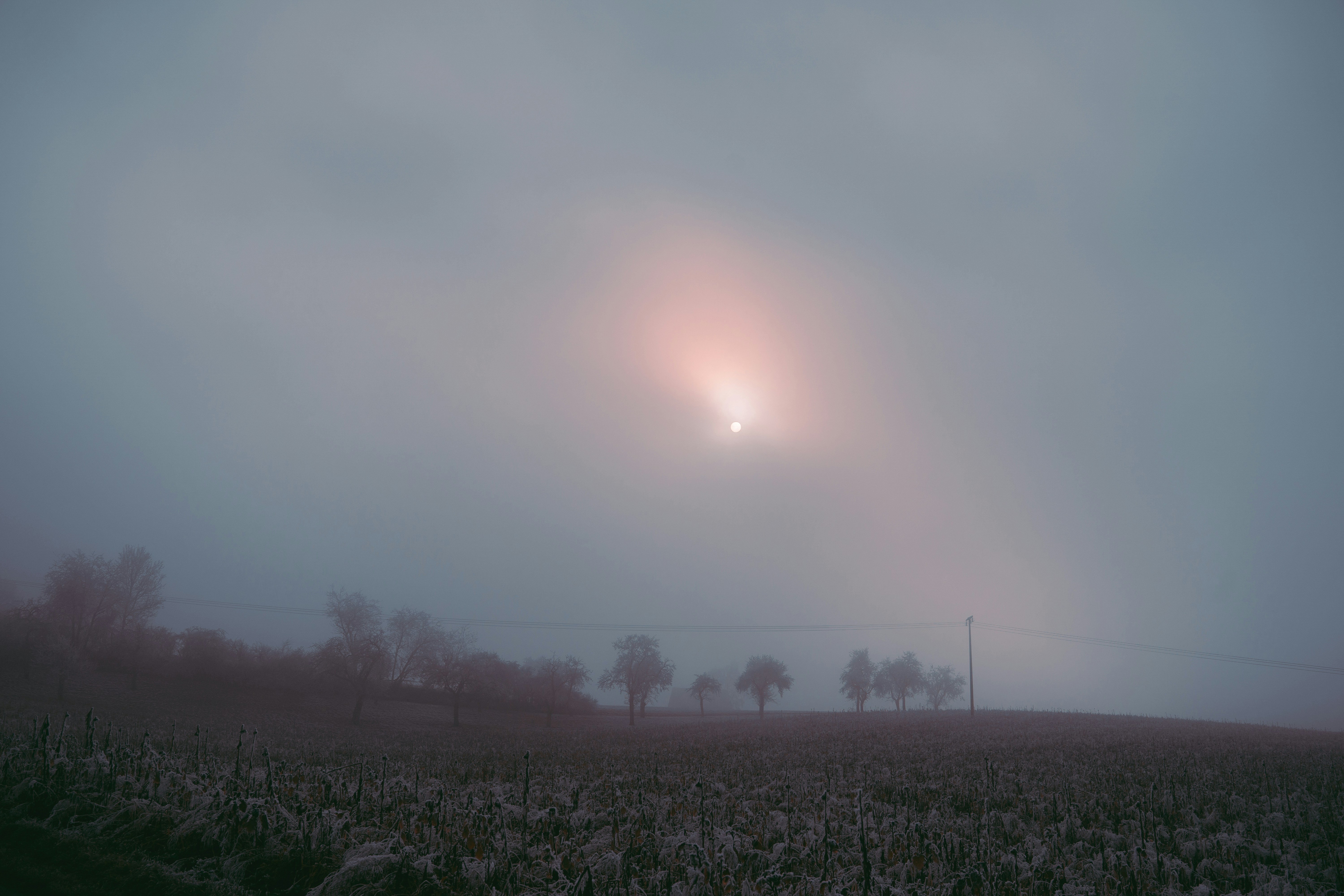 Sun rising through dense mist above a frosty landscape with silhouetted trees.