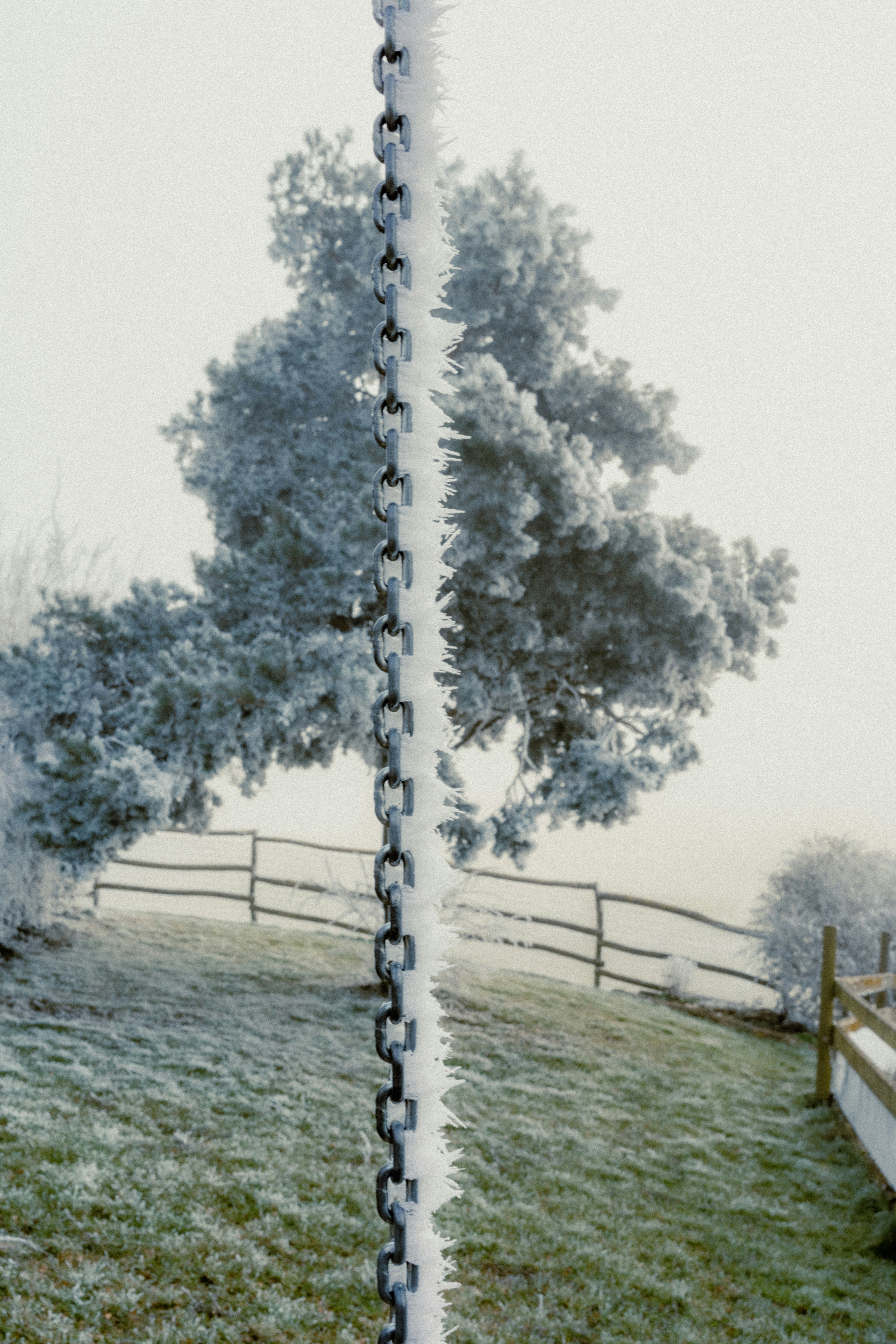 Frost-Thread: A vertical chain bisects a frost-kissed hillside