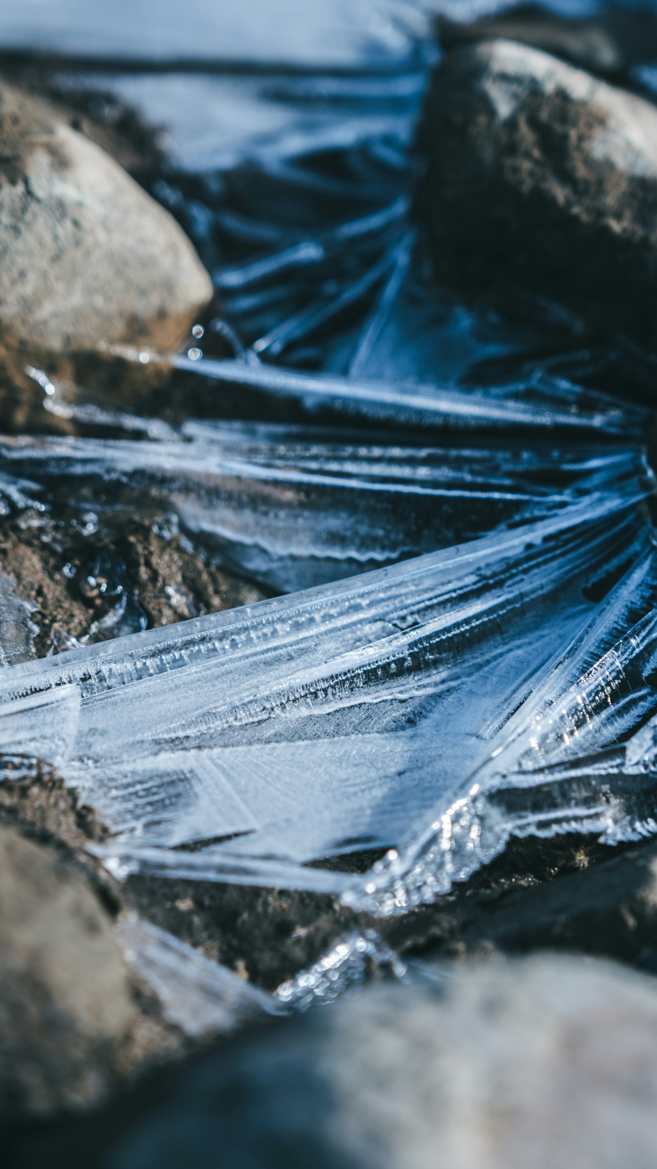 A close up of a bunch of plastic wrapped in plastic photo – Free ...