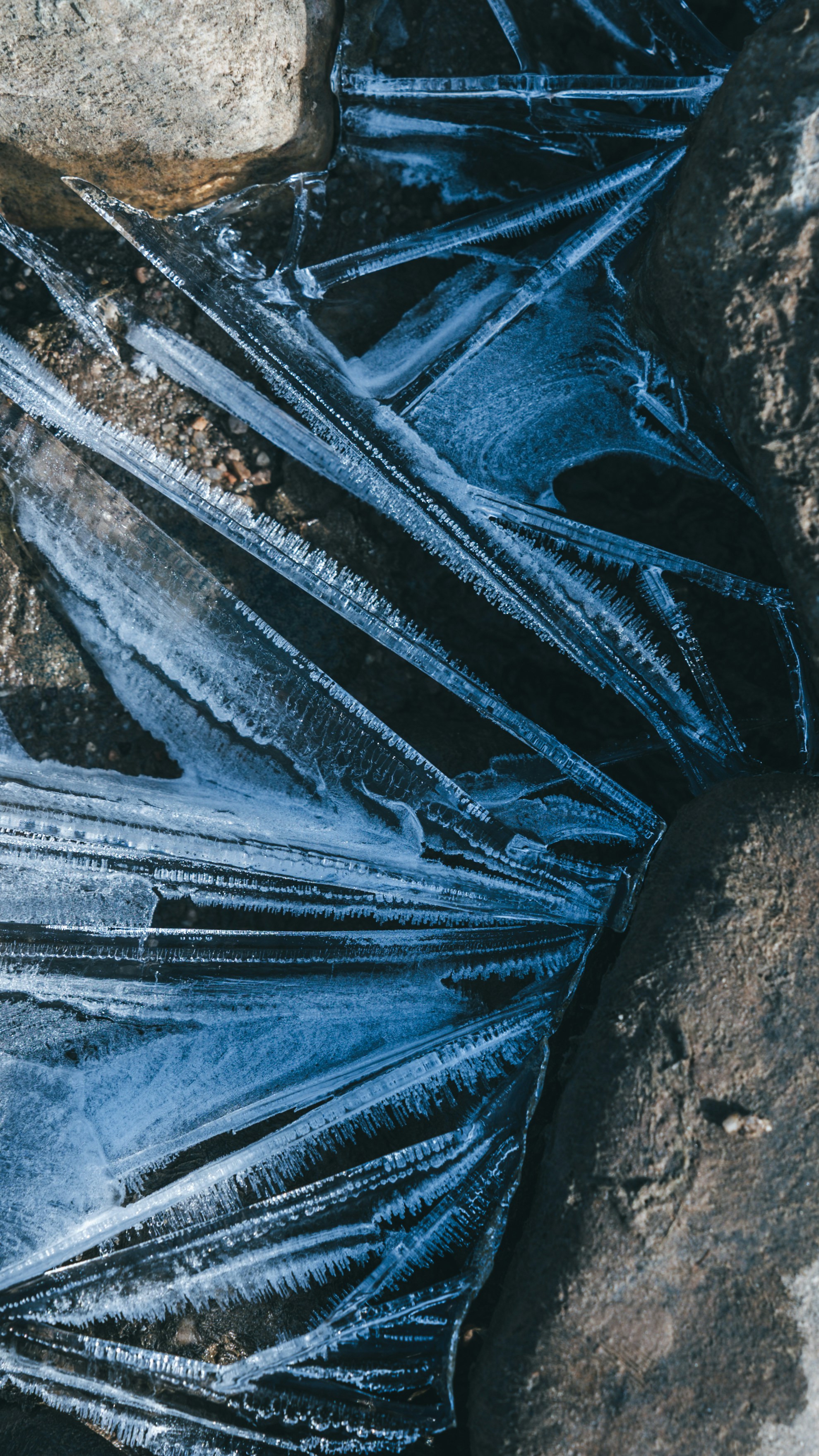 A close up of a rock with ice on it photo – Free Ice Image on Unsplash