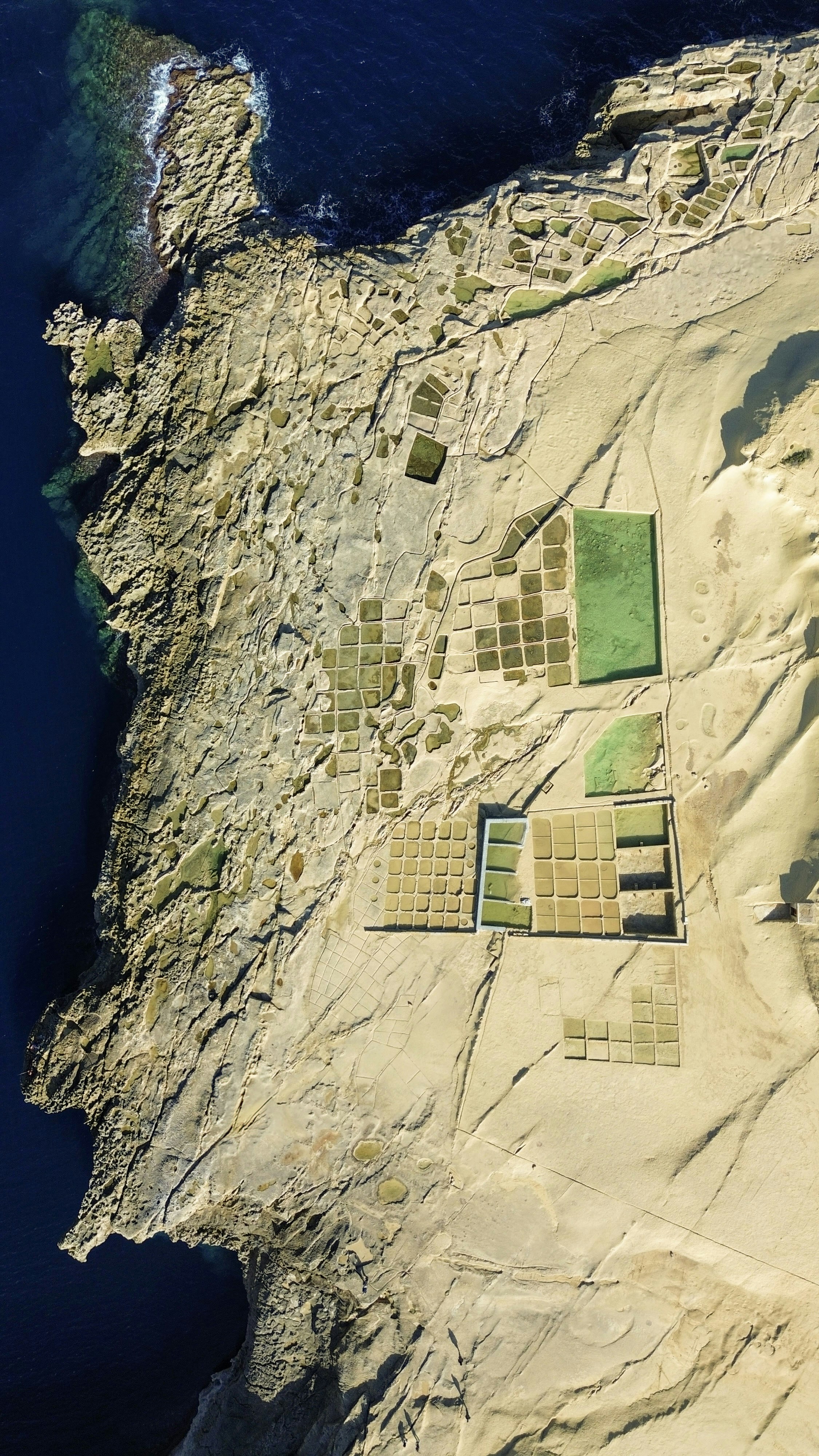Geometric Harmony of Nature and Agriculture