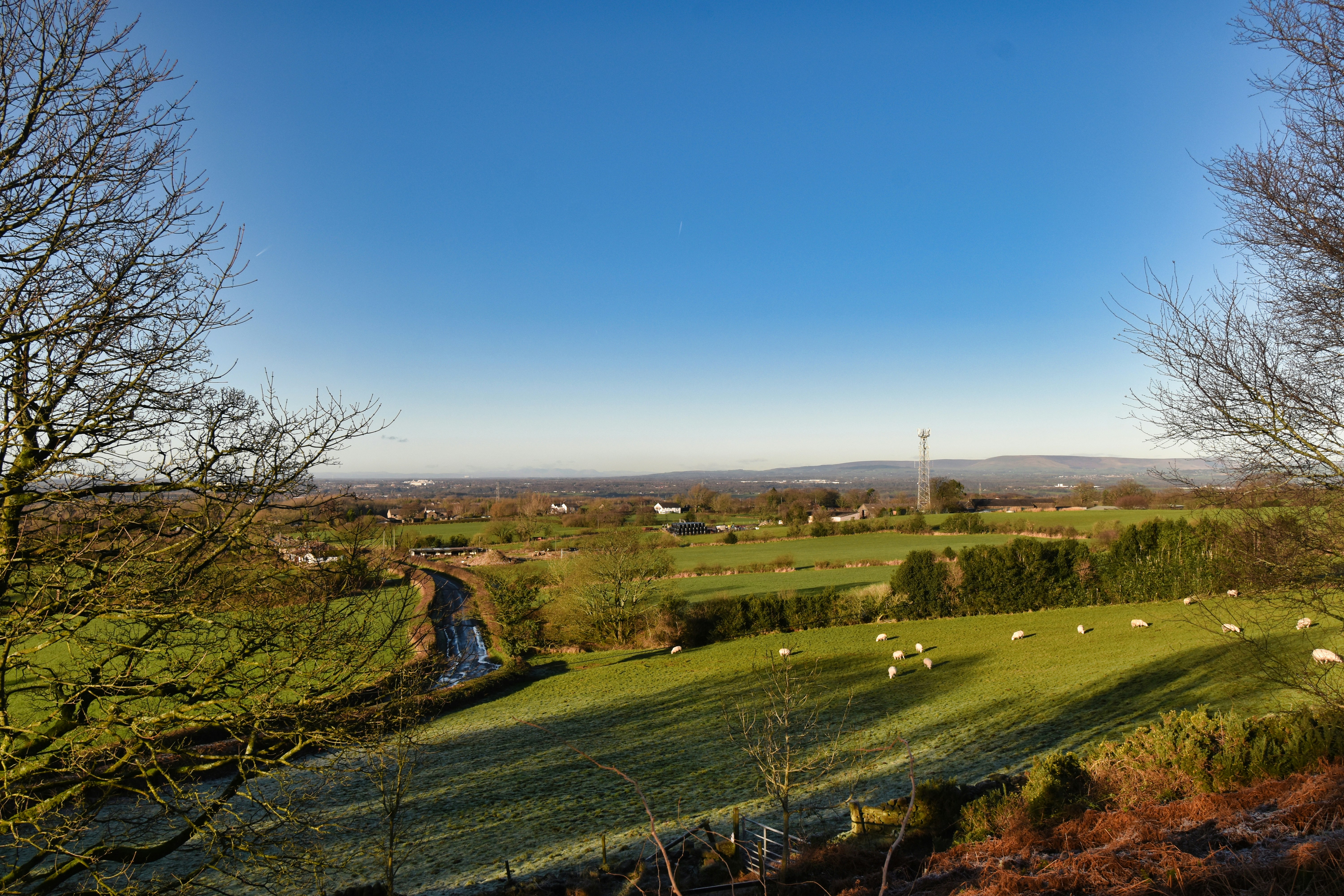 A view of a green field with sheep grazing in the distance photo – Free ...