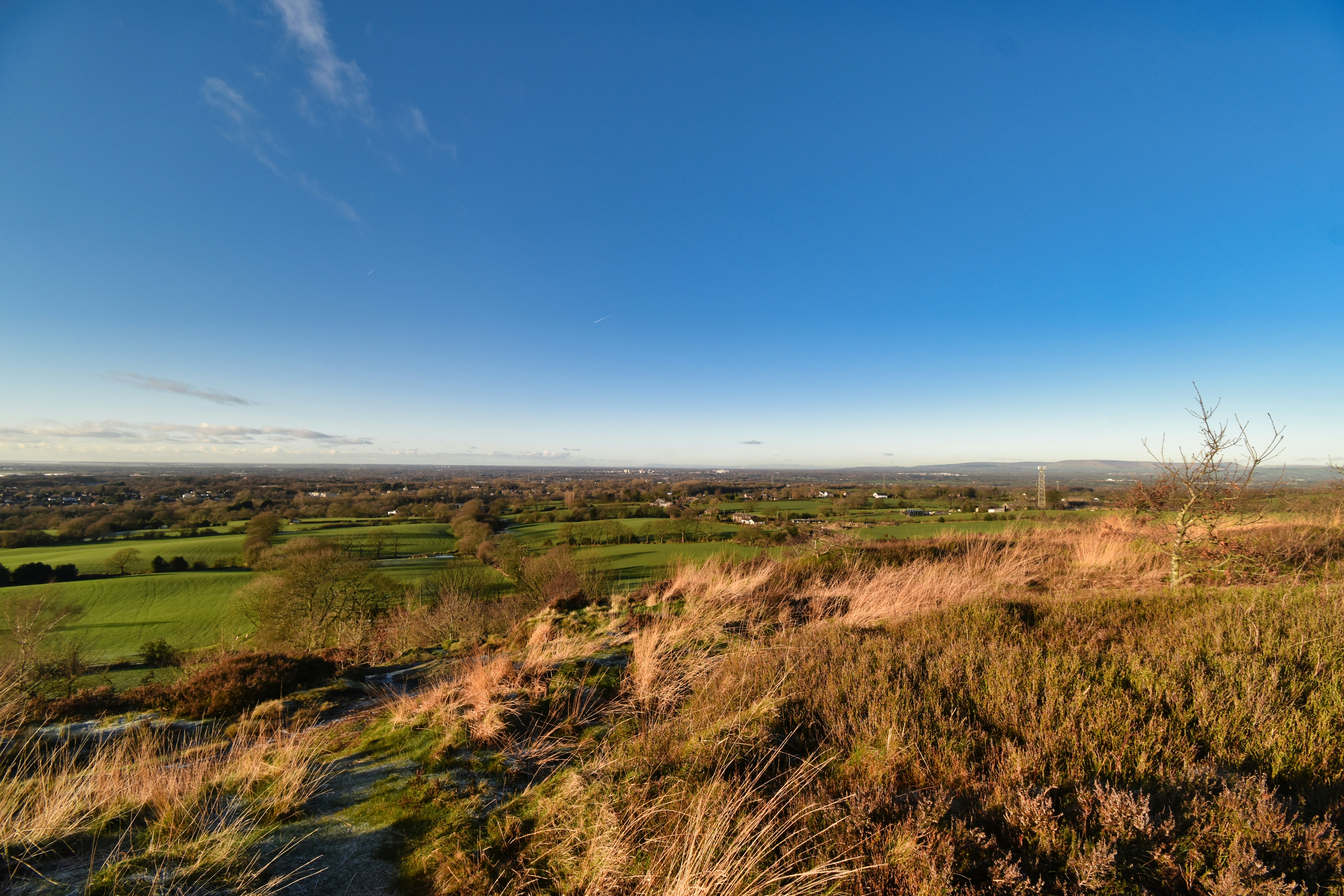 Golden Grasses Overlooking Leyland