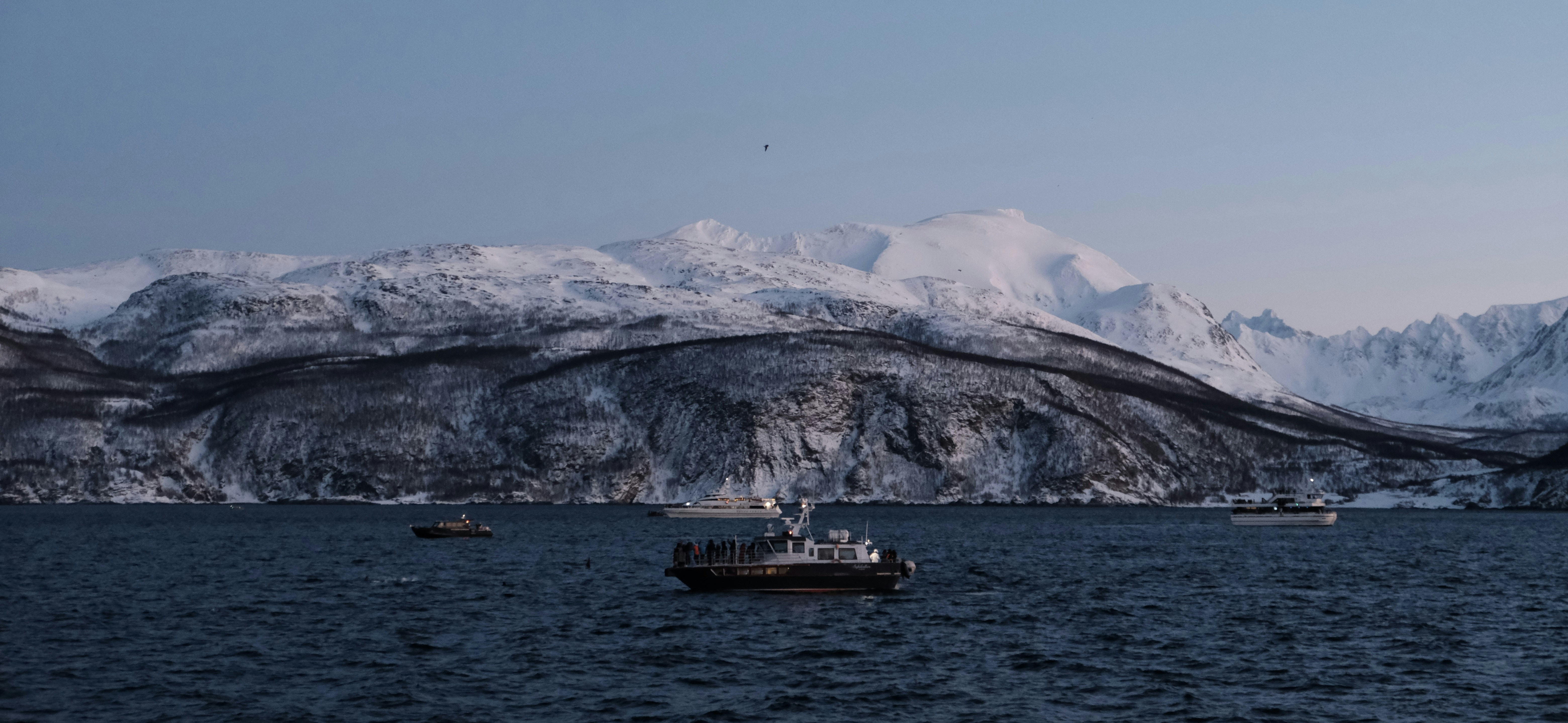 A boat floating on top of a large body of water photo – Free Tromsø ...