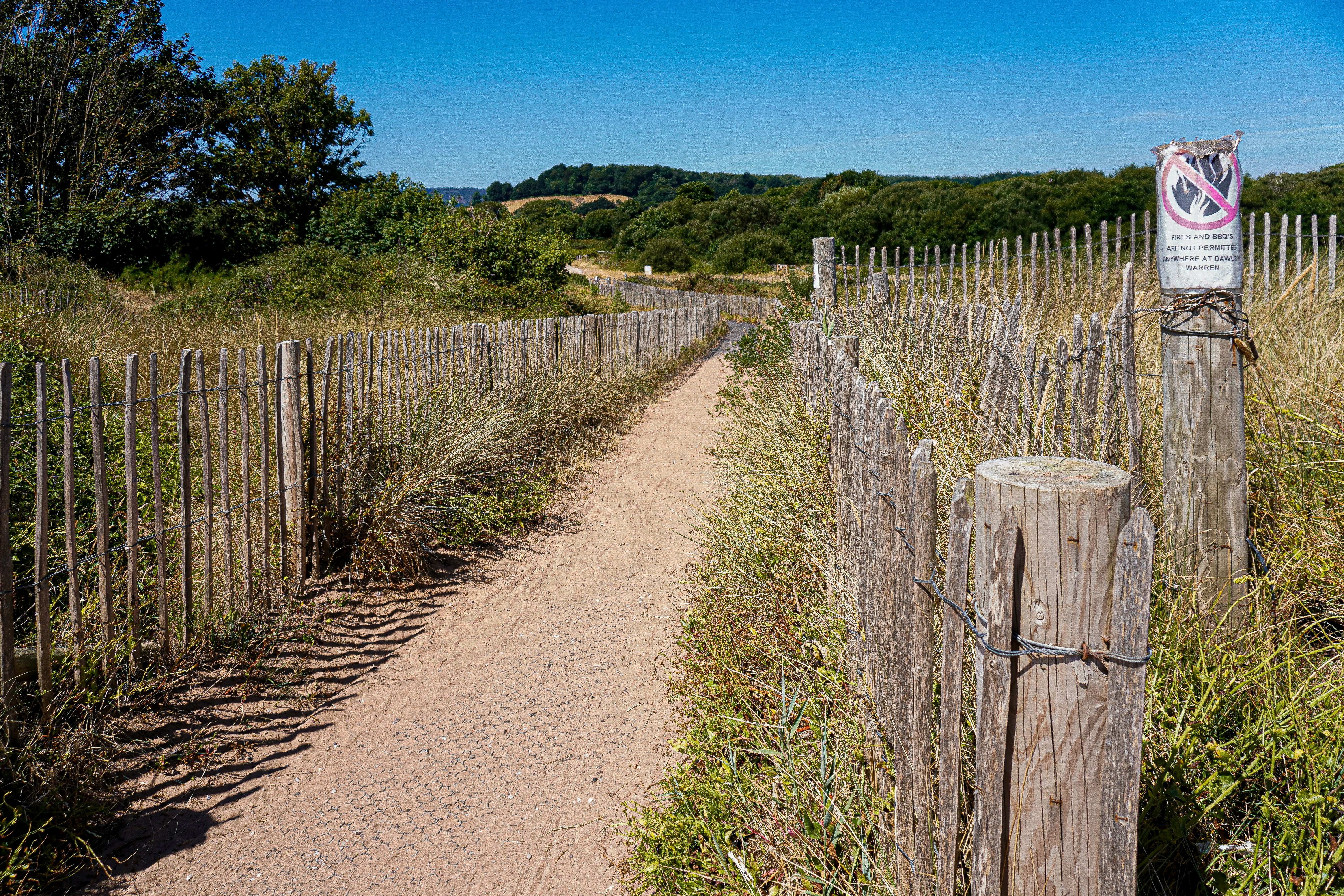 Sandy path flanked by wooden fences, leading through grassy dunes under a clear blue sky.