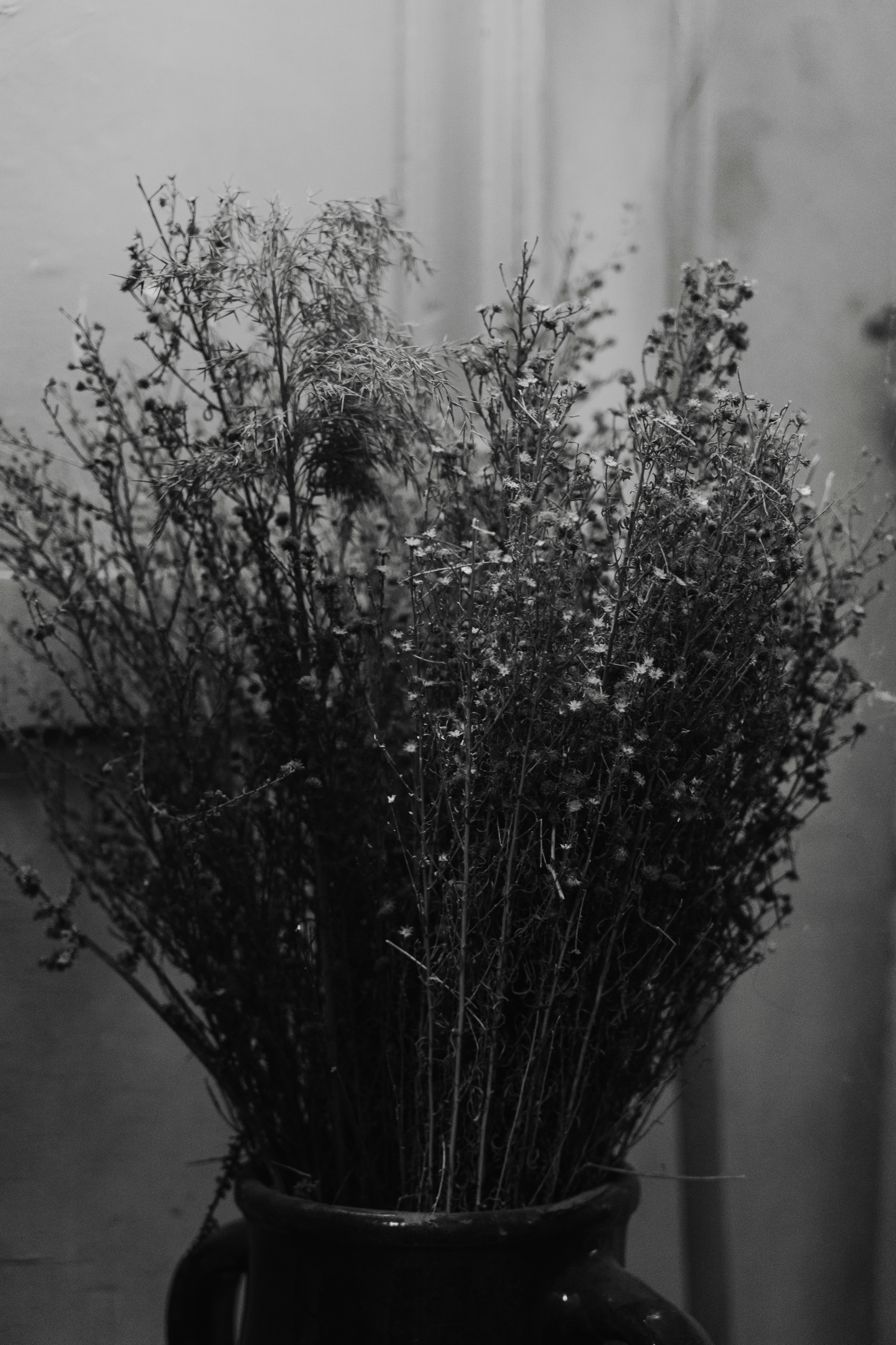Monochrome Bouquet: Dried Sprigs in a Dark Ceramic Vase