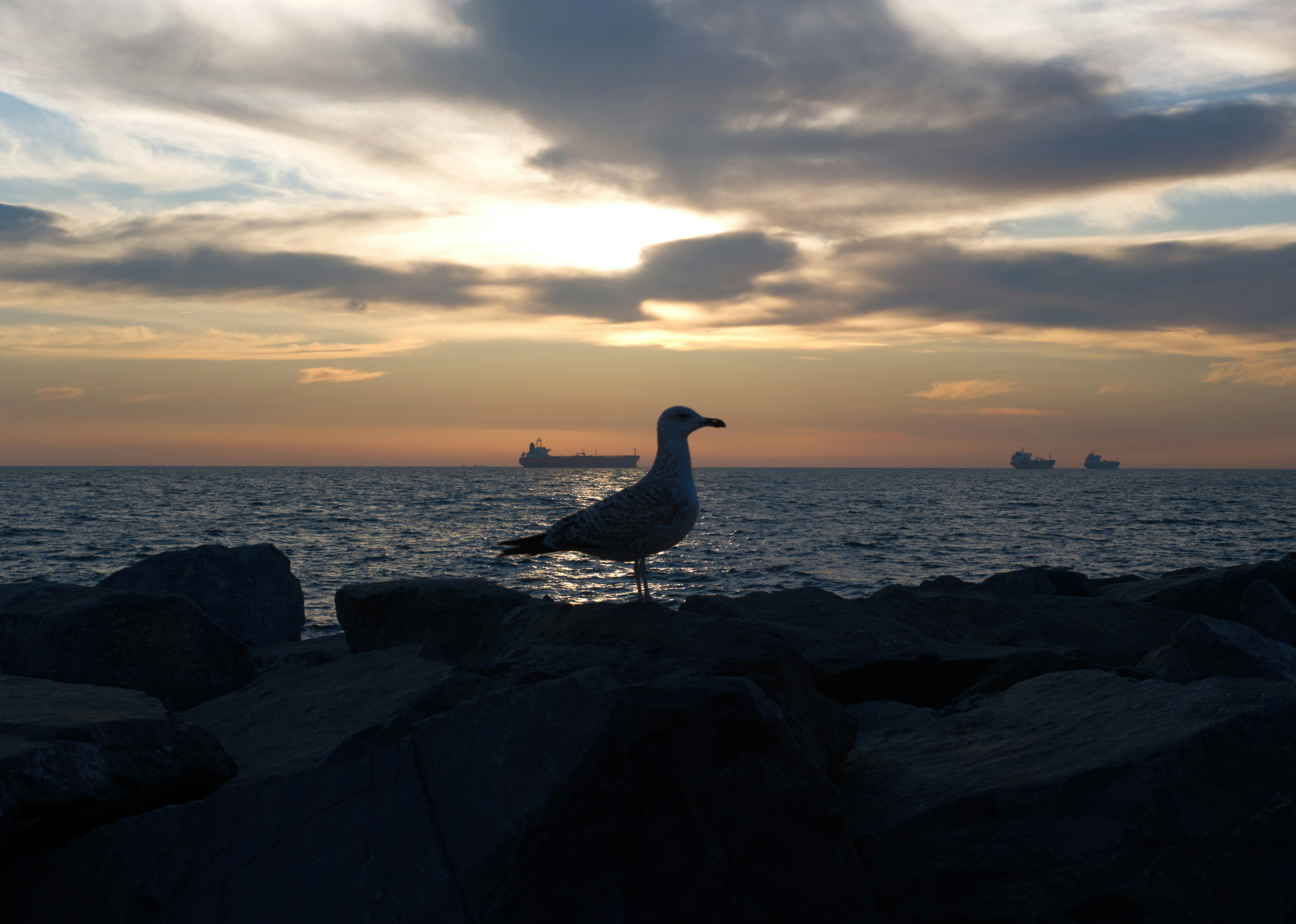 Photo by Ilker Ozmen with Fujifilm X-S20