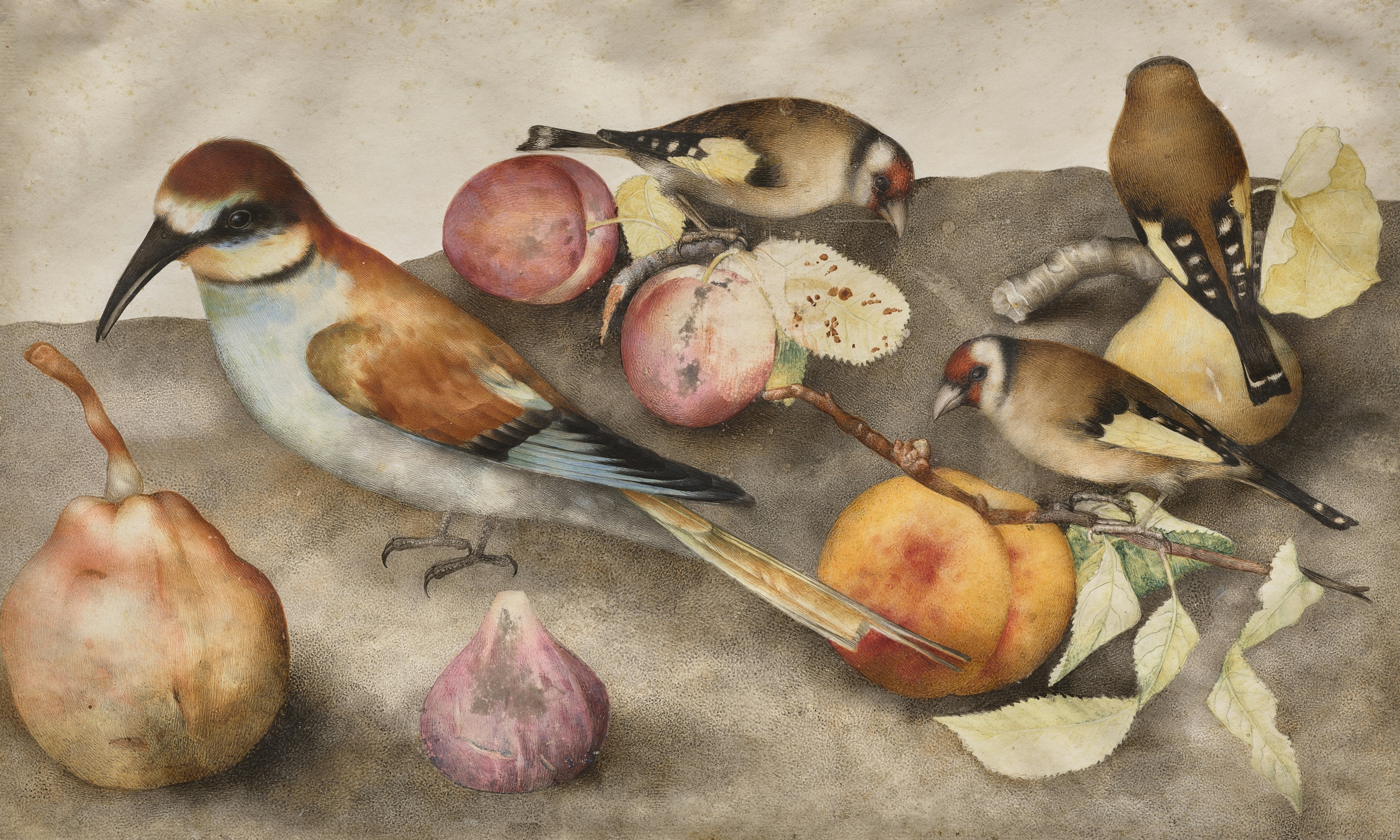 Watercolor-styled still life featuring several birds pecking at peaches and other fruit among leaves and branches; a decorative, painterly composition with a soft, vintage feel.
