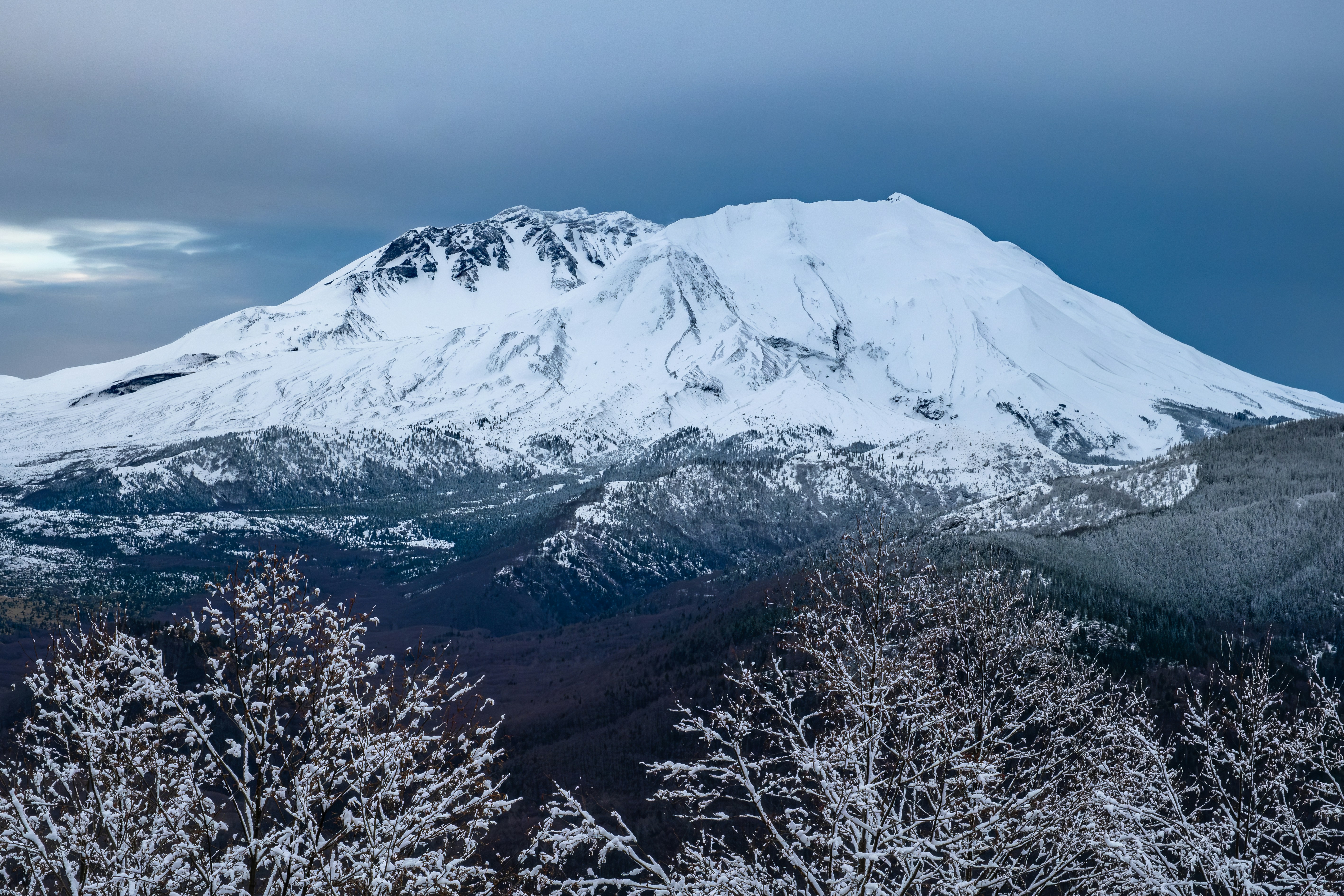 A snow covered mountain with trees in the foreground photo – Free Snow ...