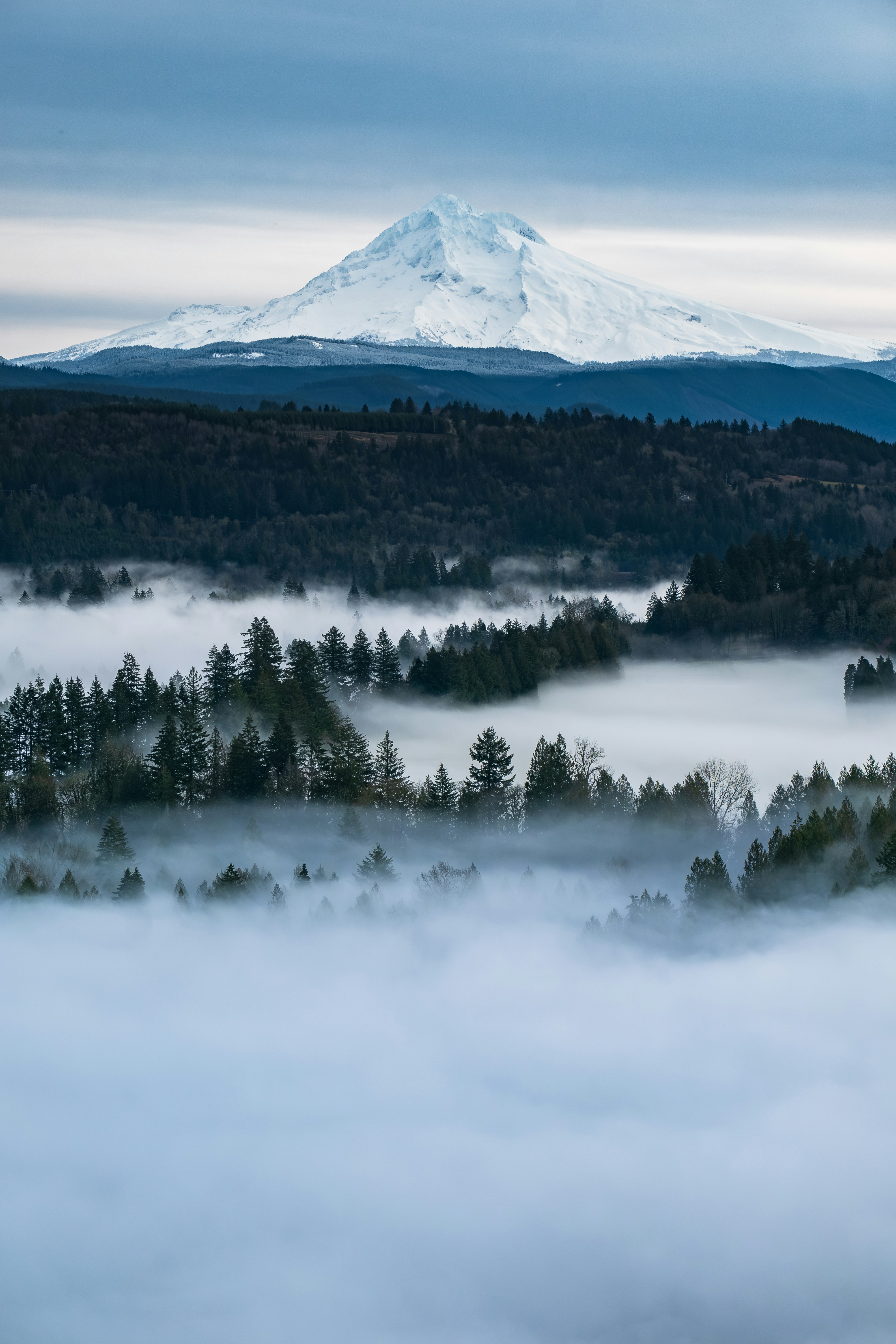 Peak of Silence: Snow Mountain Rising Through a Velvet Fog