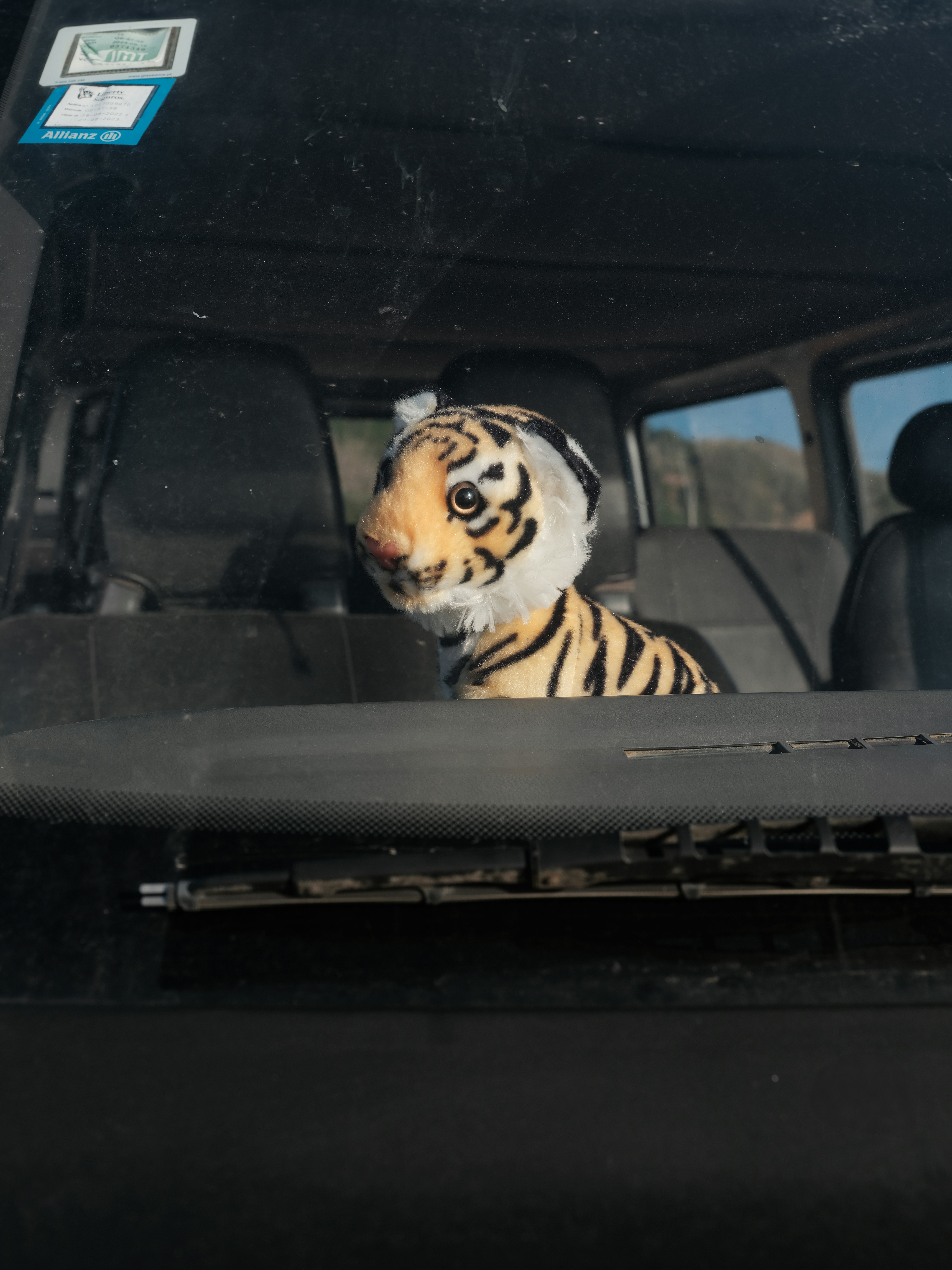 Perched on the dashboard of the car, a small tiger plush stared out through the windshield with wide, glassy eyes. Its fur, patterned with bold black stripes over a warm orange coat, seemed to glow softly under the filtered sunlight. The toy exuded a quiet charm, as though guarding its place in the world from behind the glass.
