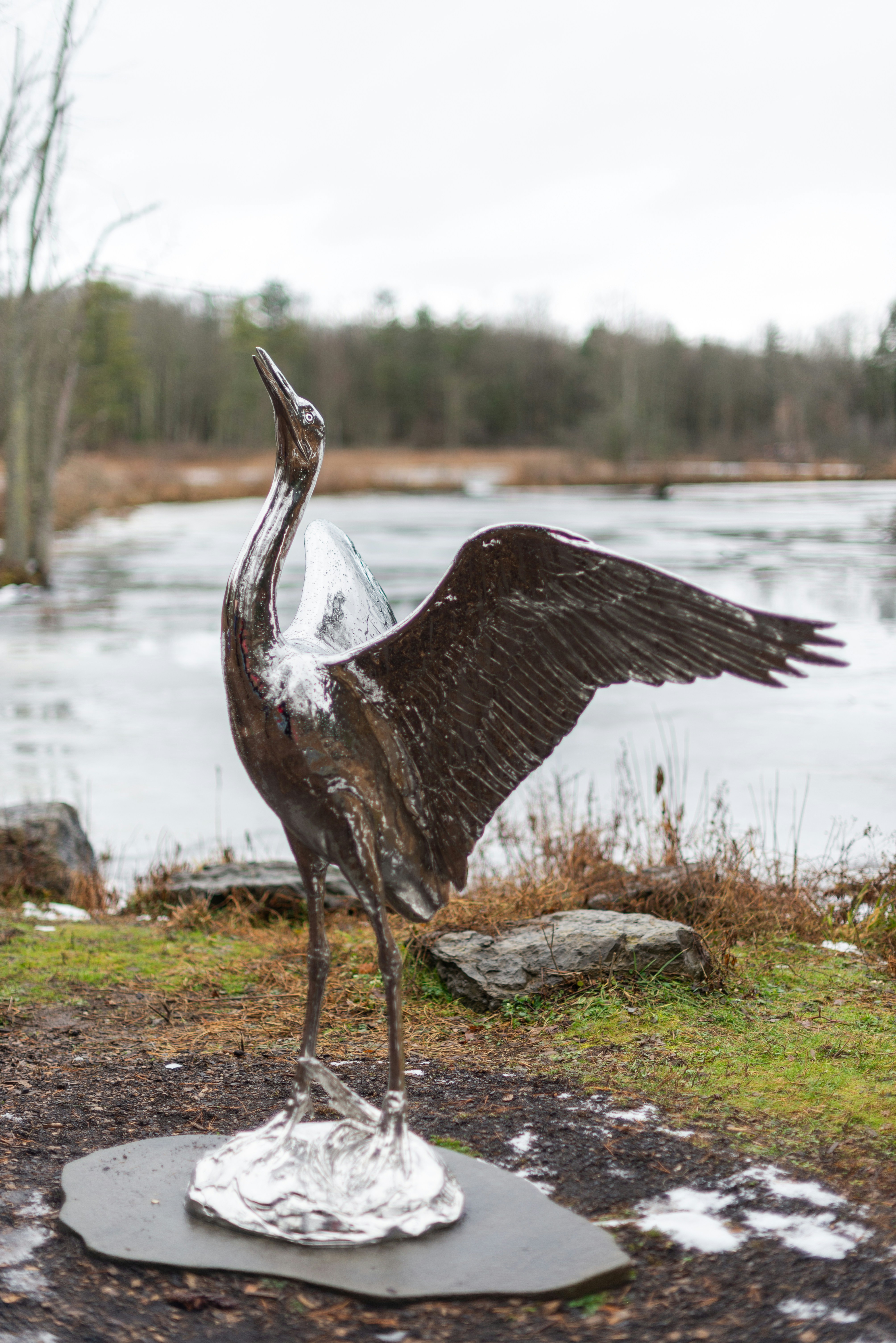 Rime-Glazed Pelican: A Winter-Worn Statue Reaching Skyward