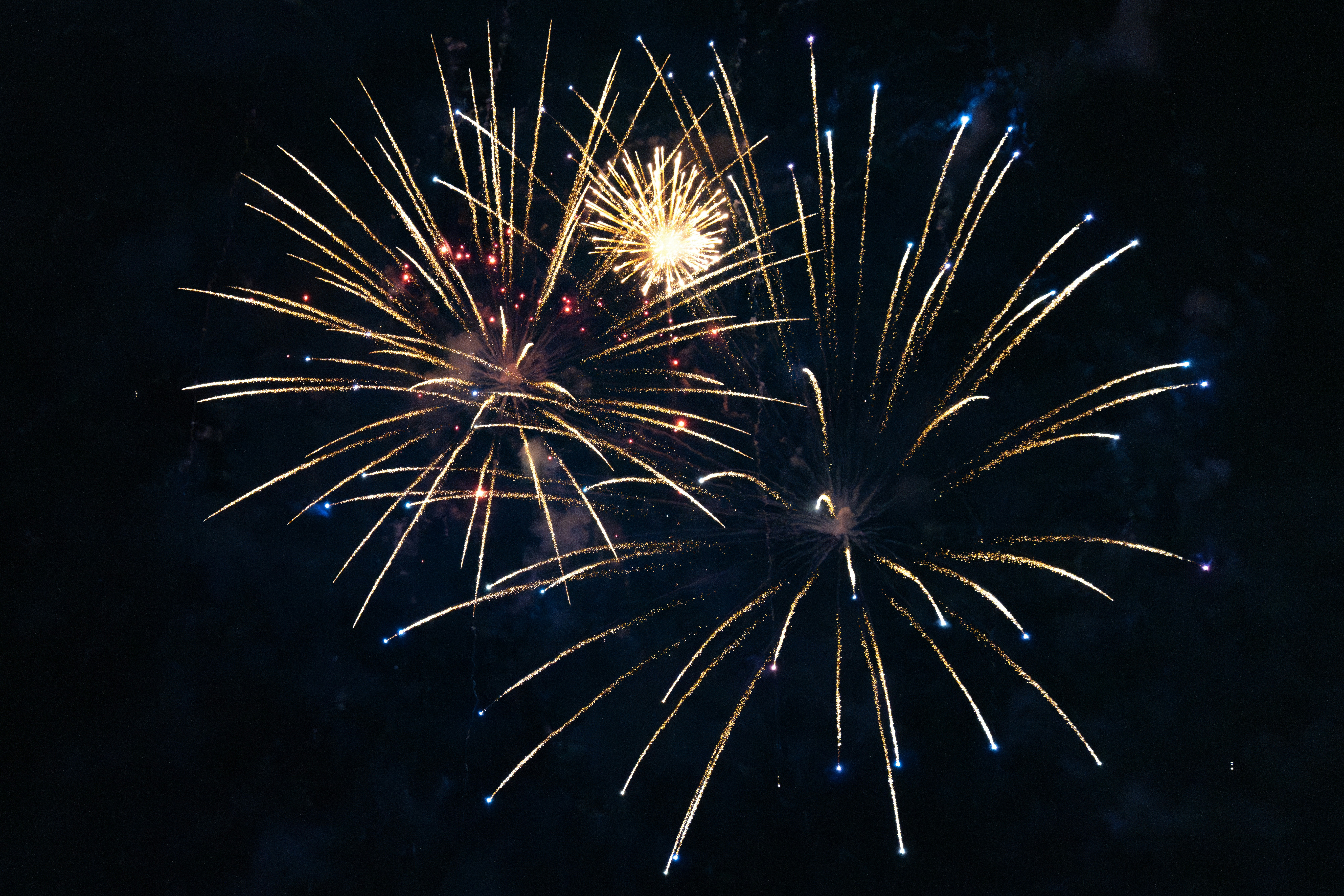A firework display in the night sky photo – Free Canberra act Image on ...