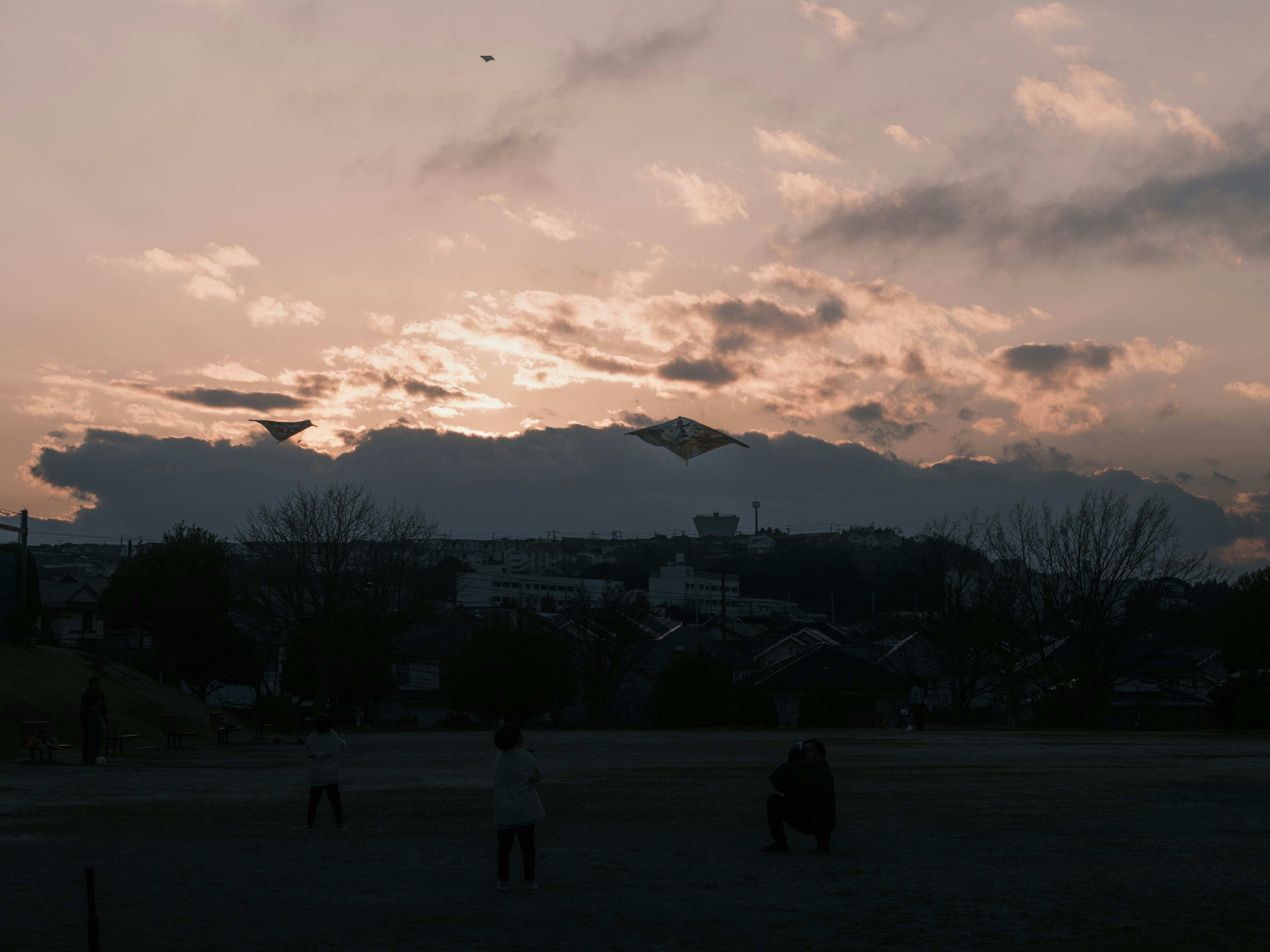 Dusk Flight Over a Quiet Park: Kite-like Silhouettes Against a Clouded Horizon