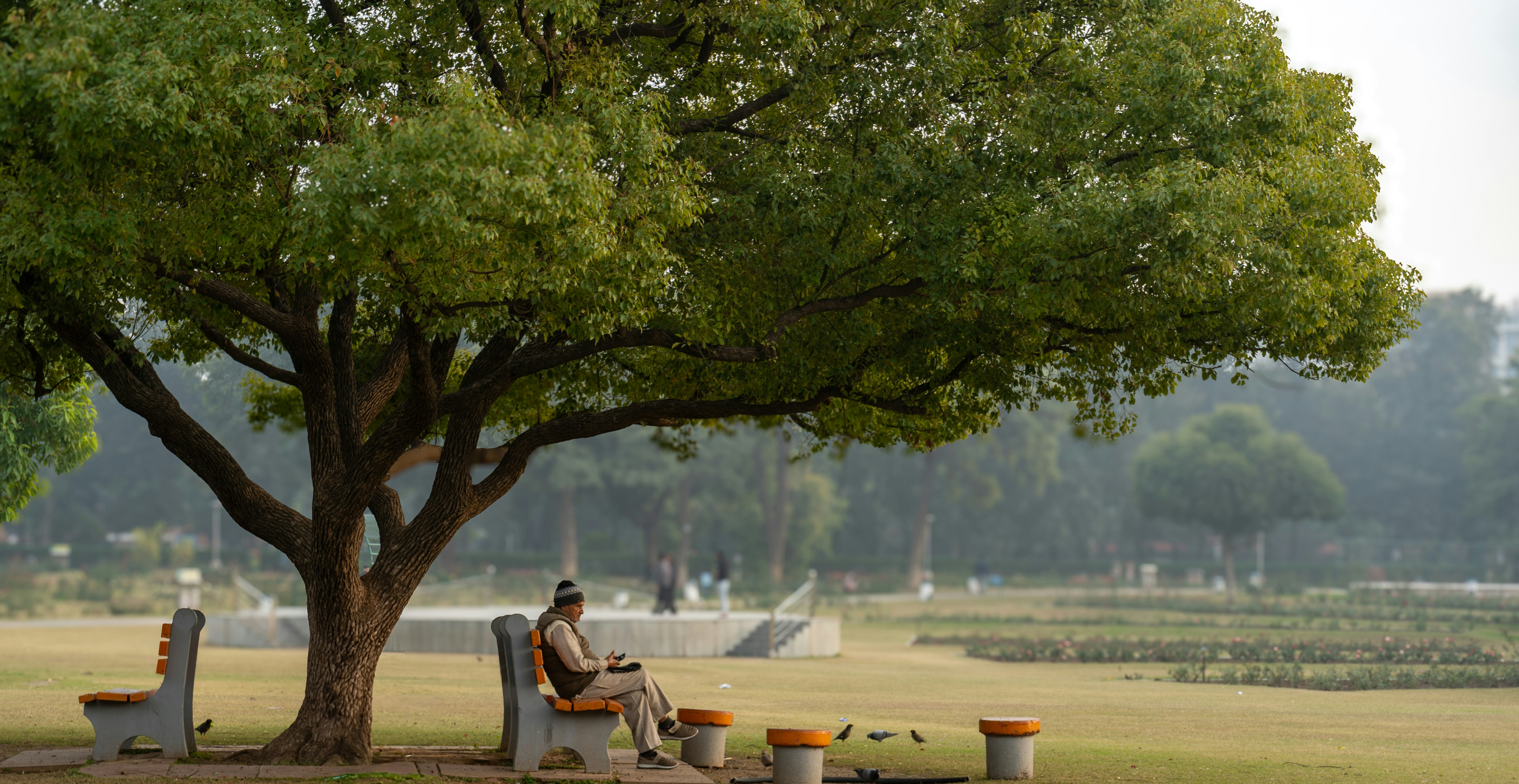A solitary figure sits on a bench under a sprawling tree in a tranquil park, surrounded by greenery and distant flower beds.
