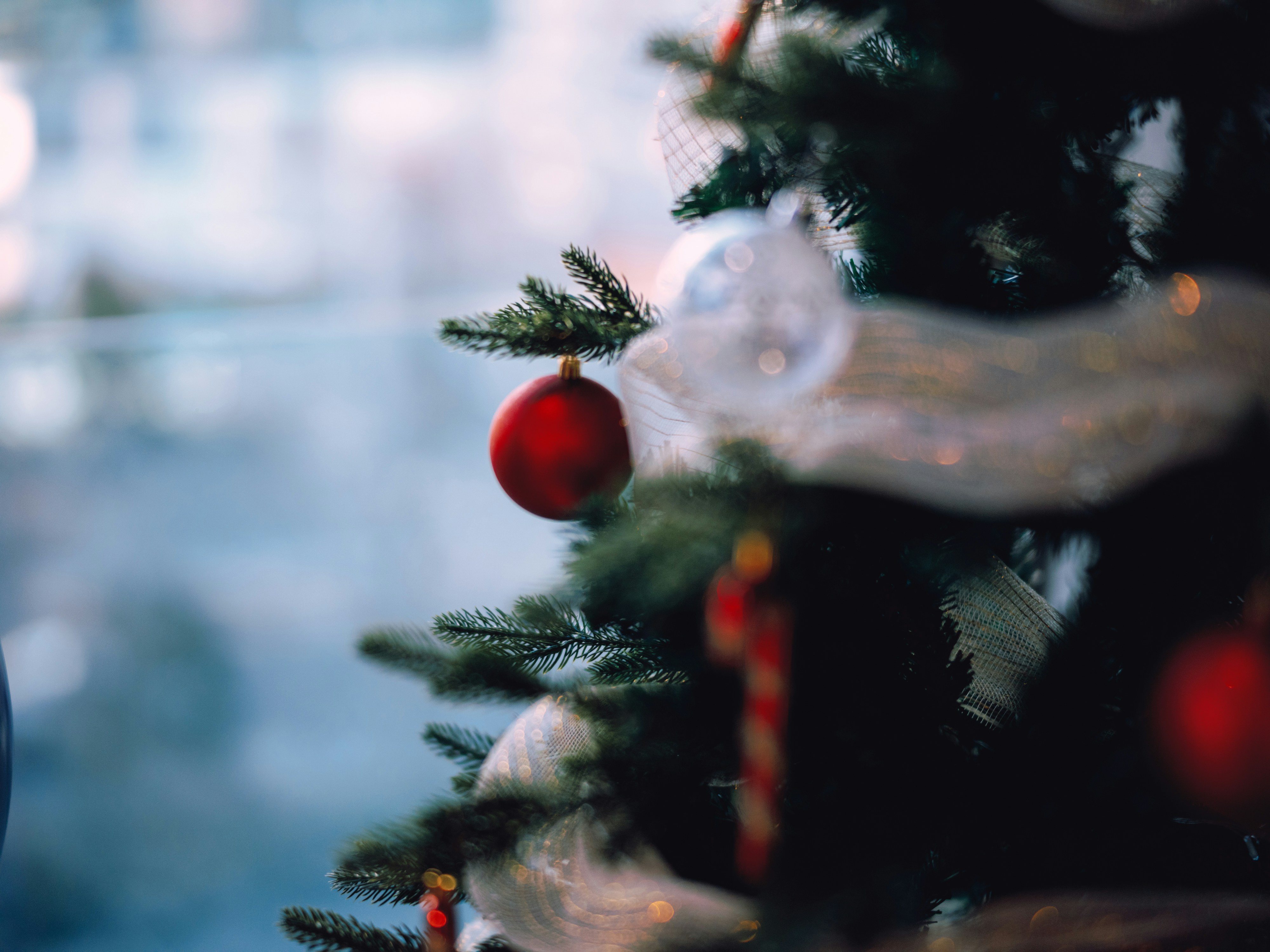 Crimson Ornament in Velvet Greens: A Quiet Holiday Moment